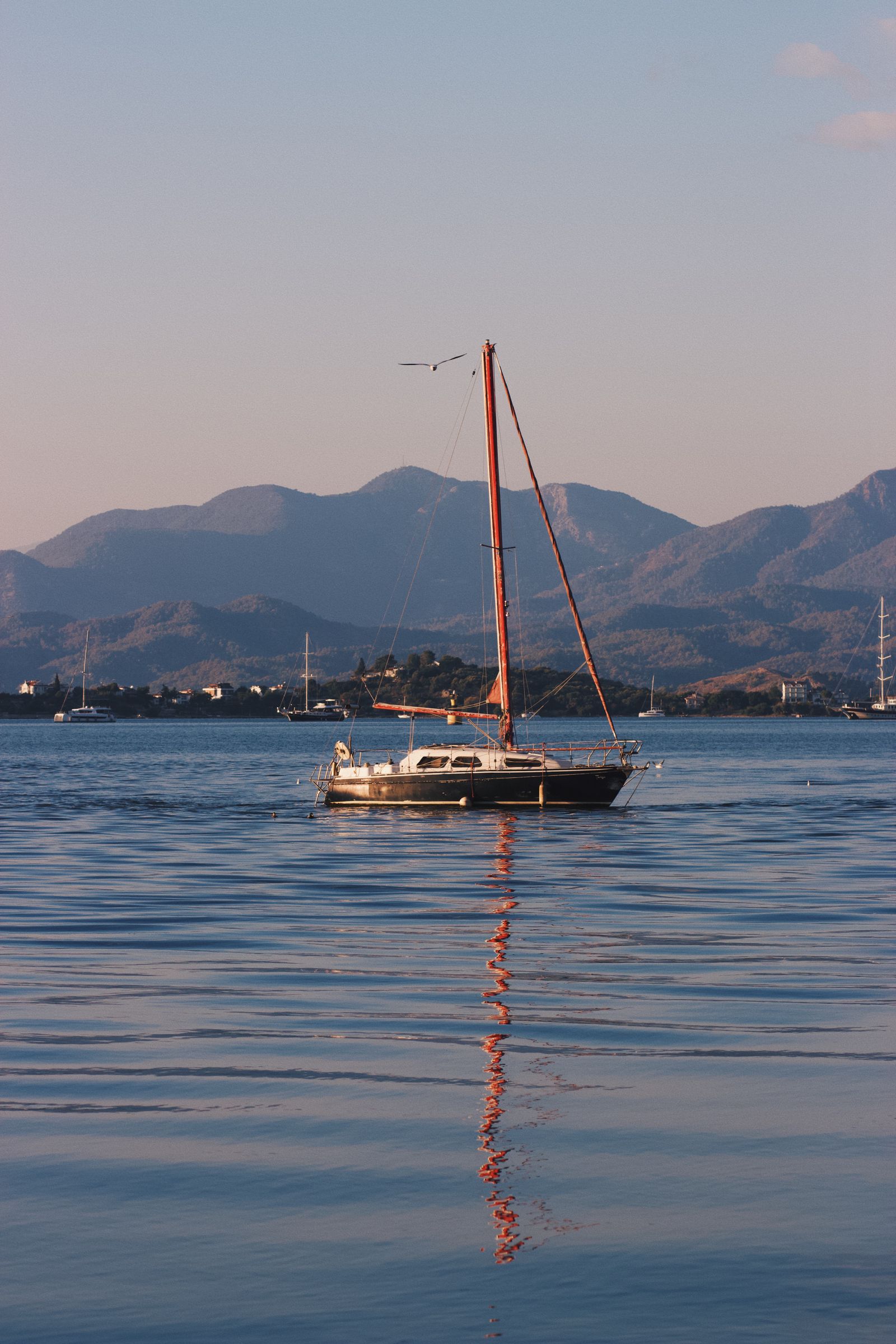 Sunset Boat Photos, Download The BEST Free Sunset Boat Stock Photos ...