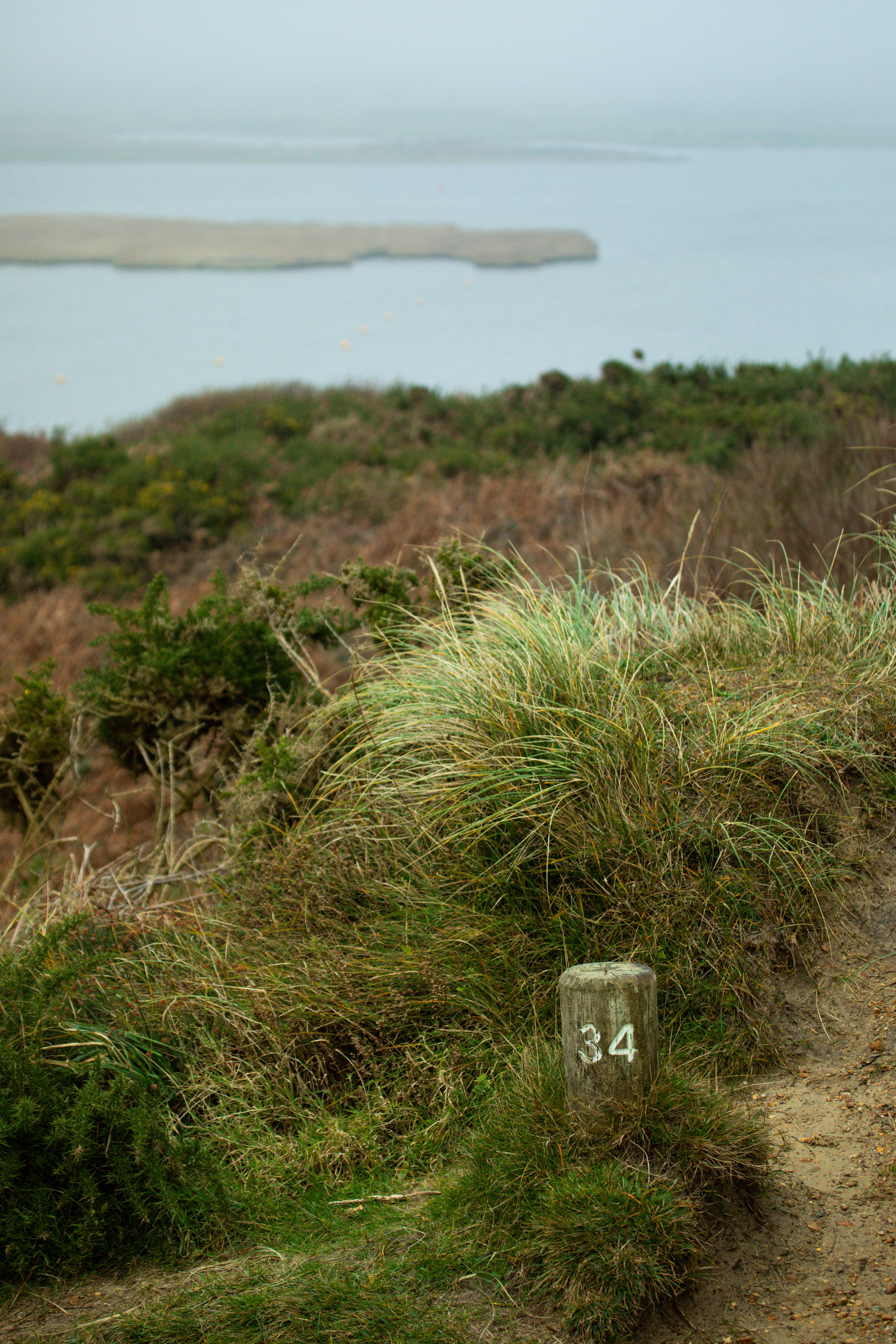 Scenic Coastal Pathway in England · Free Stock Photo