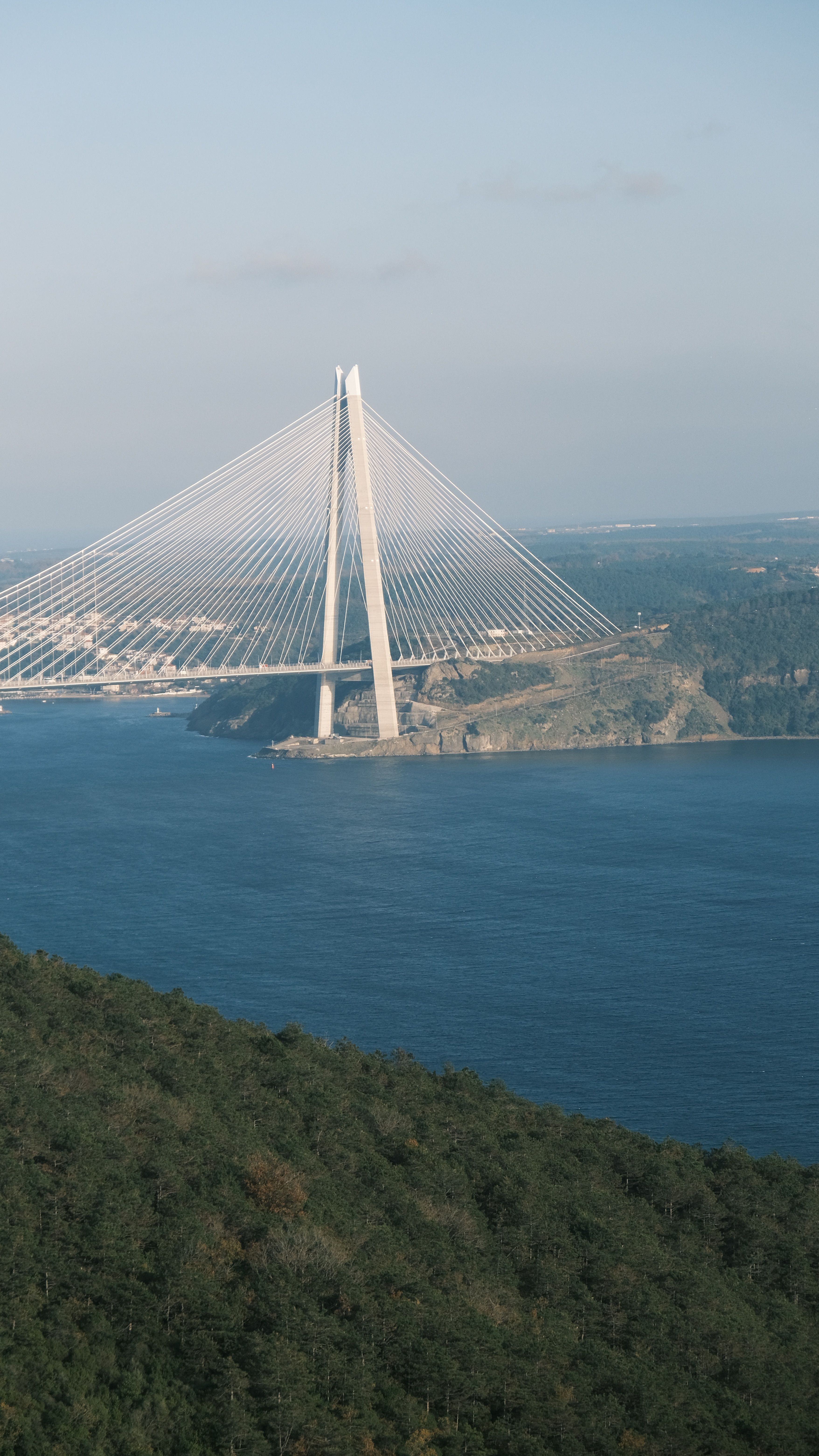 Panoramic View of Modern Suspension Bridge · Free Stock Photo