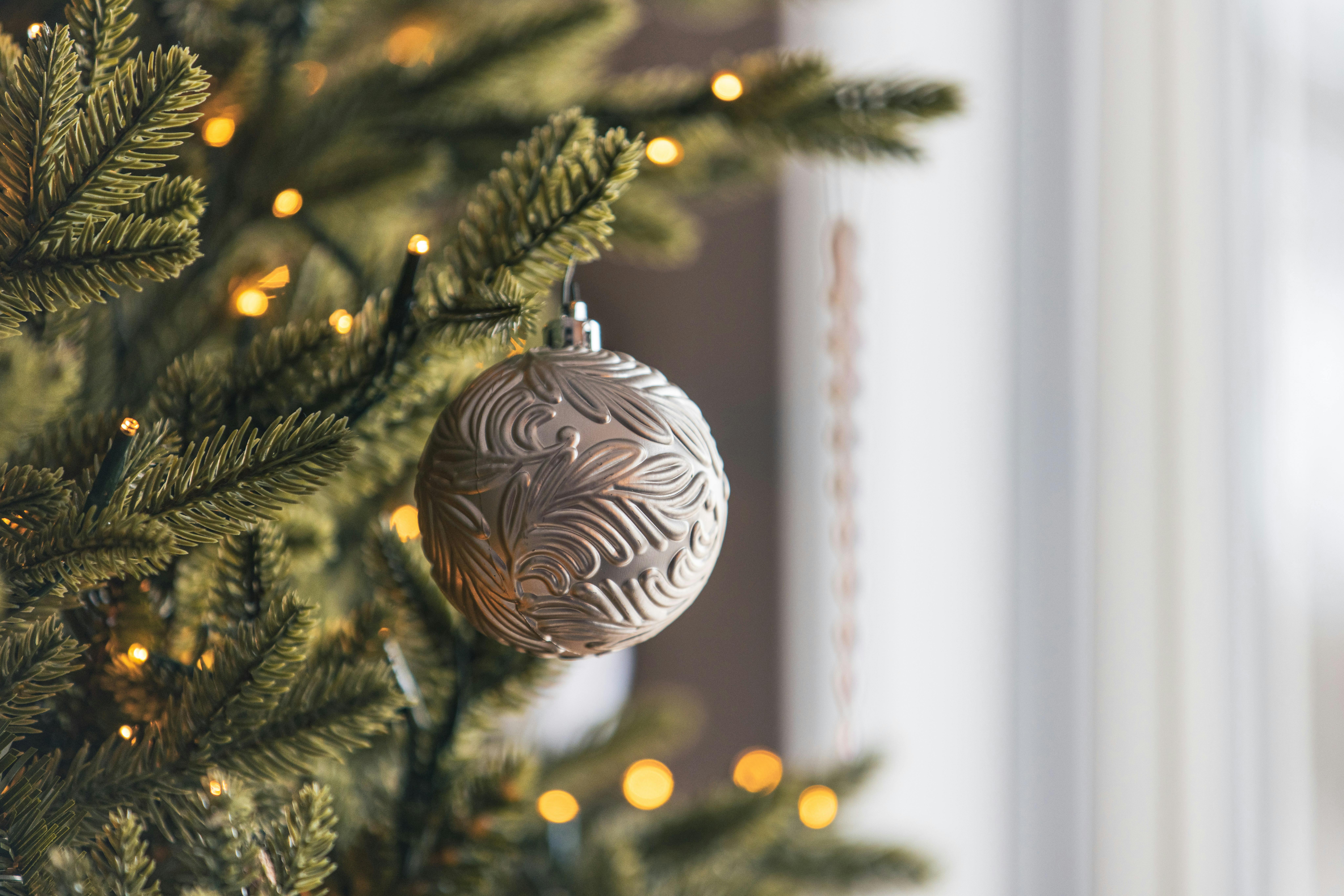 Elegant Christmas Ornament on Tree Branch · Free Stock Photo