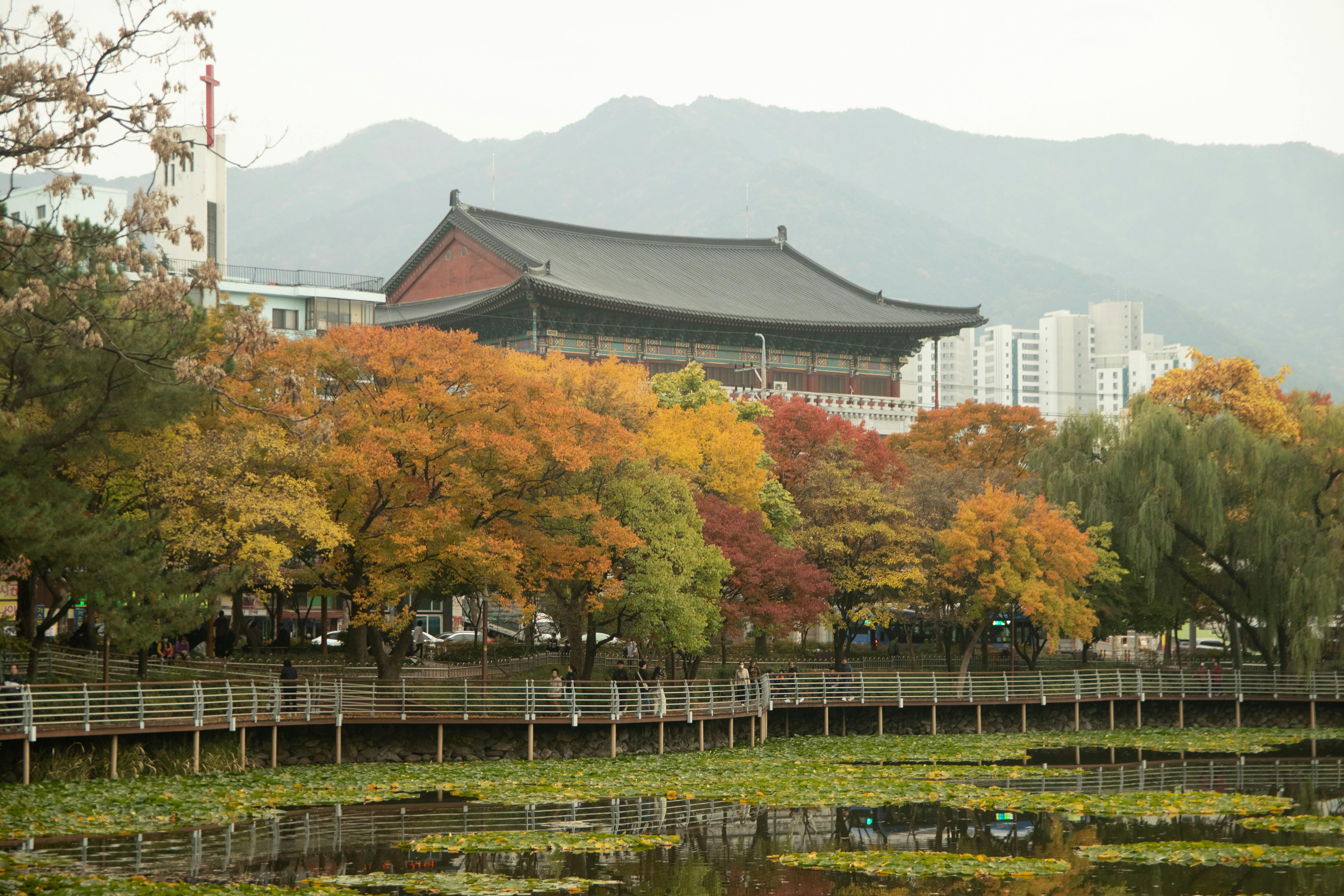 Autumn View of Daegu, South Korea with Hanok Architecture · Free Stock ...