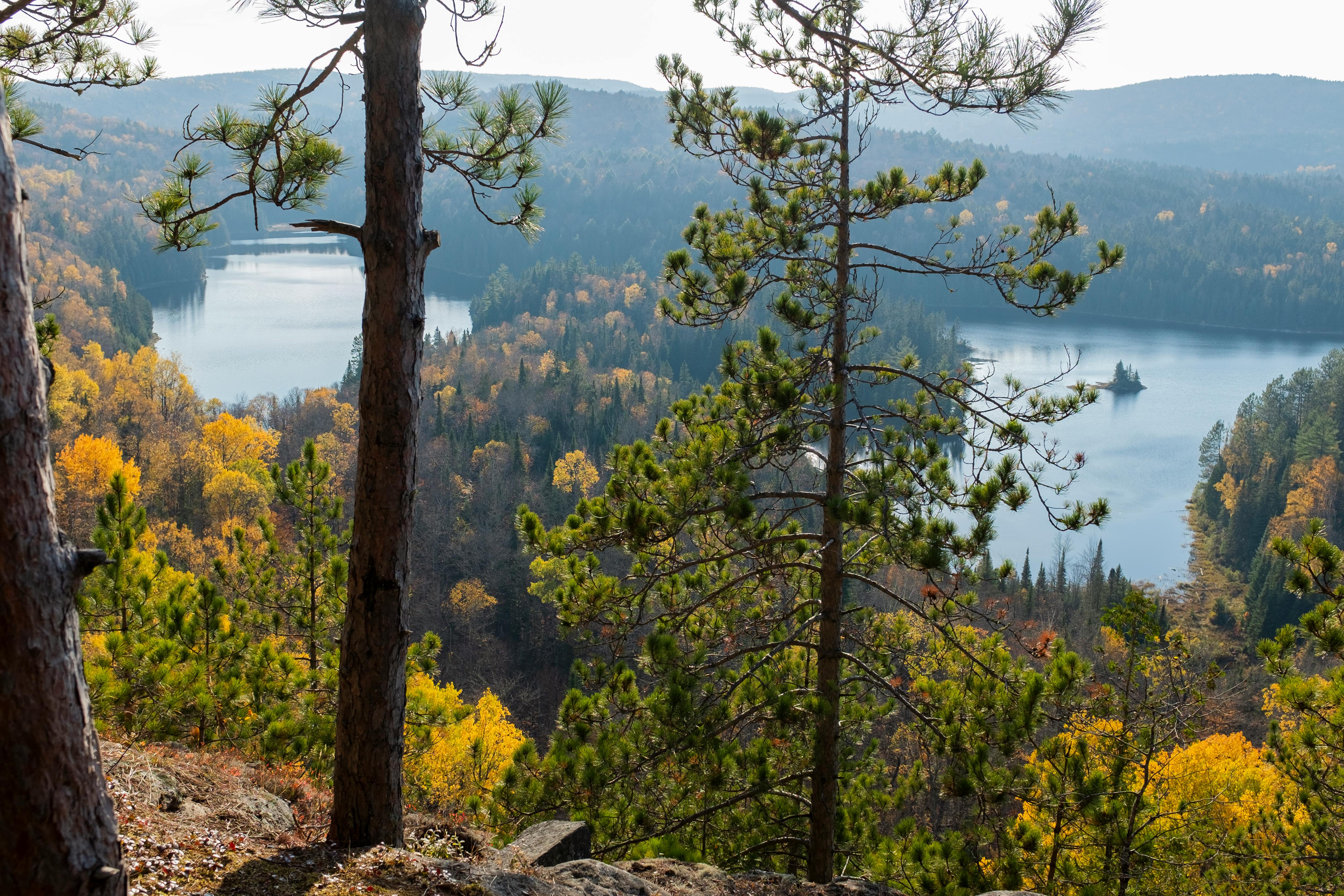 Vista Panorámica Otoñal Del Lago De Quebec Con árboles · Foto de stock ...