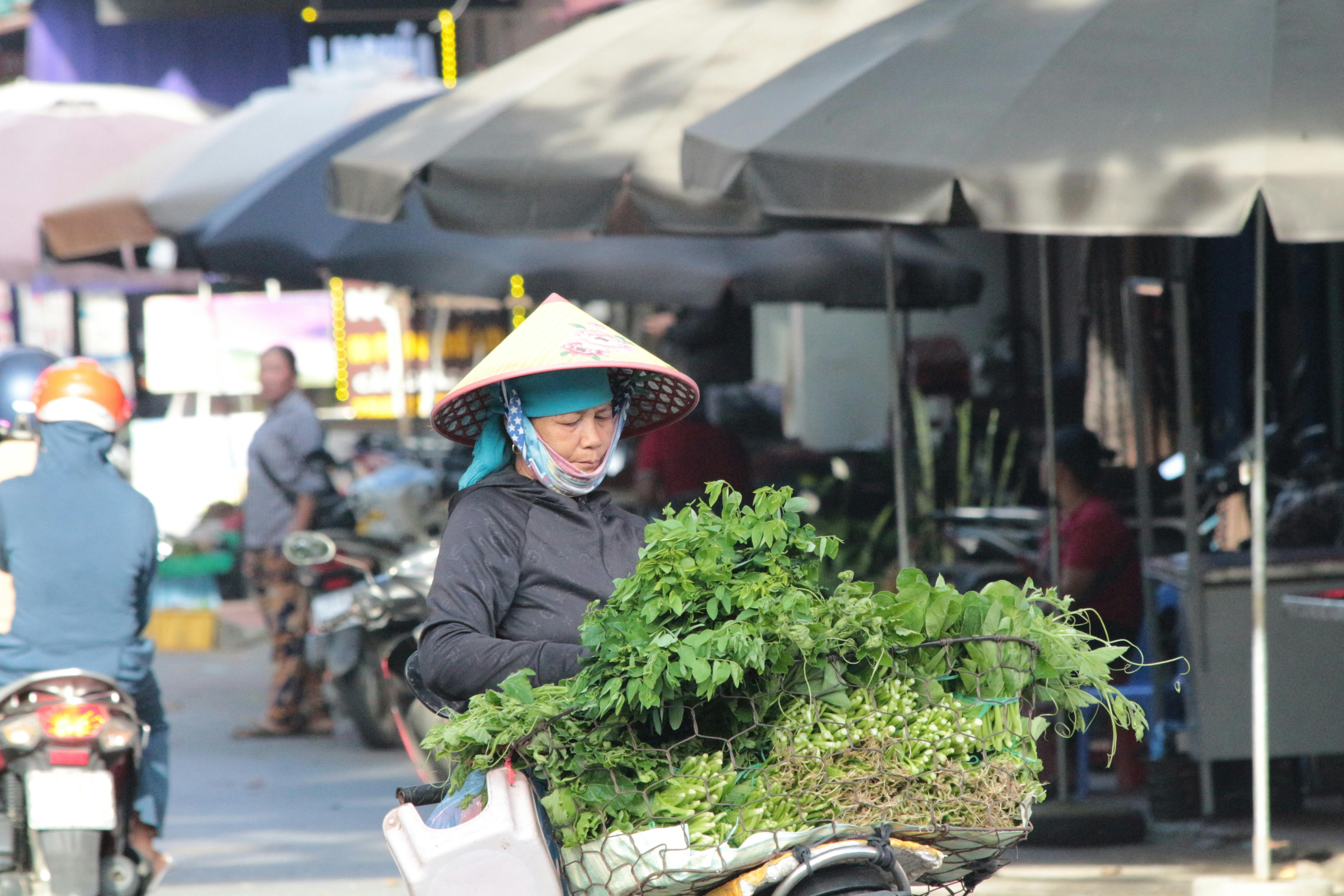 Typhoon Farm Photos, Download The BEST Free Typhoon Farm Stock Photos ...