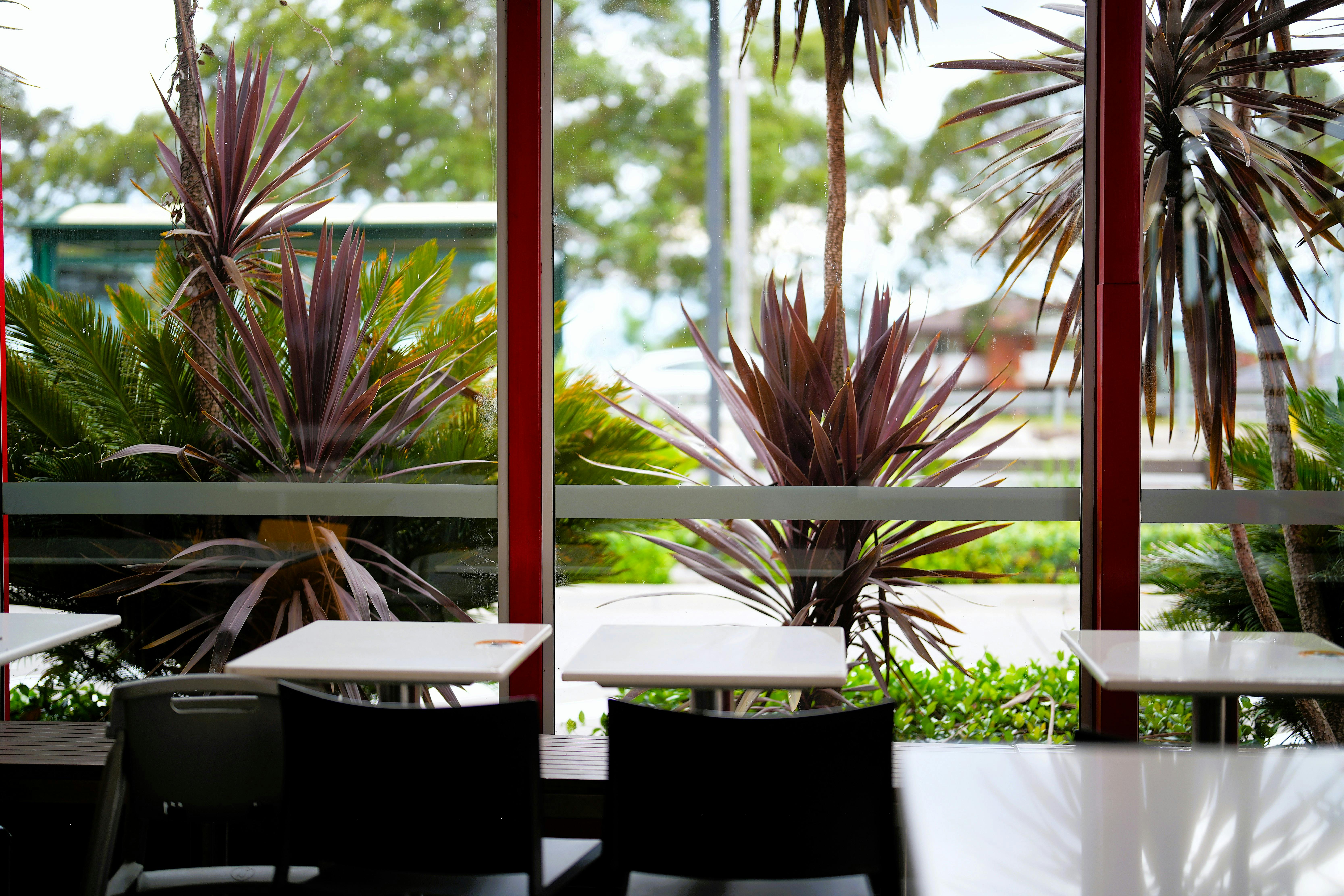 Athena Productions - Fotografía