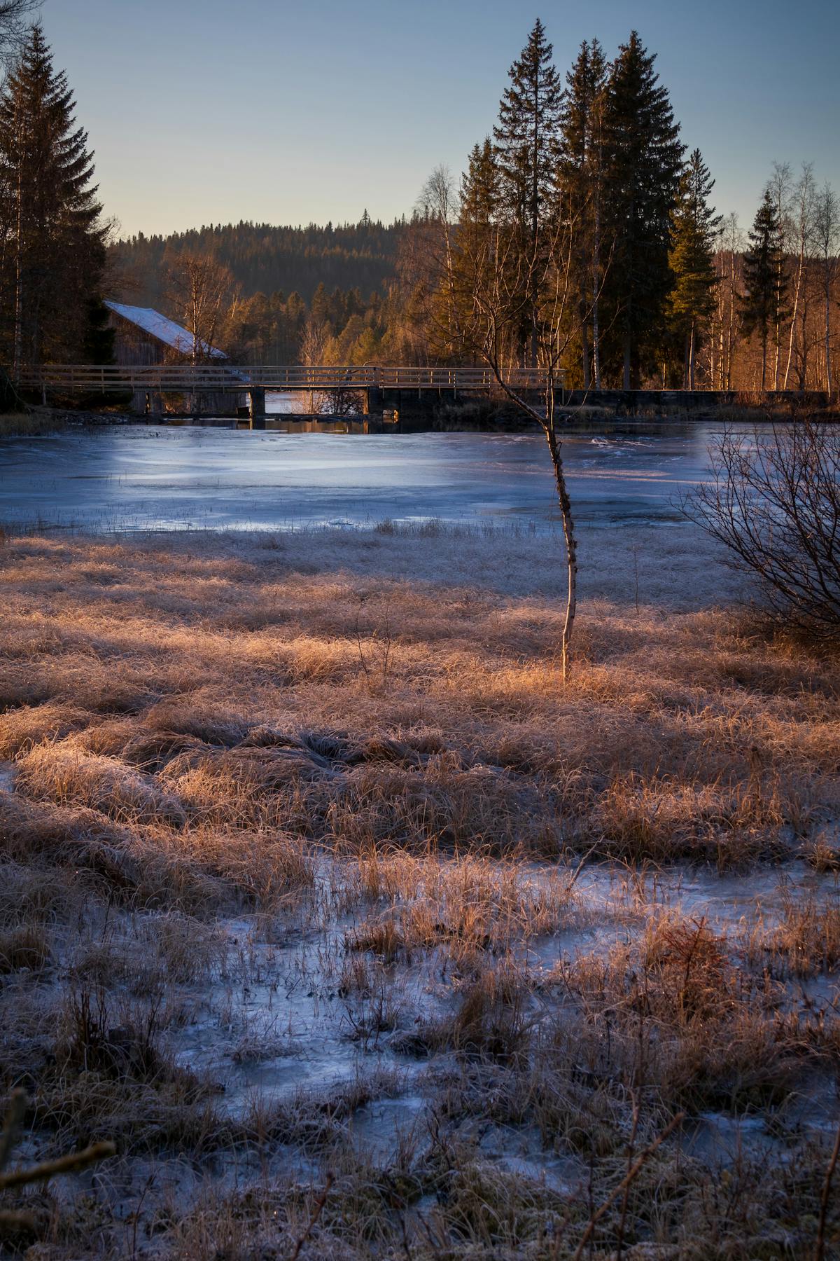 Winter January Photos, Download The BEST Free Winter January Stock ...