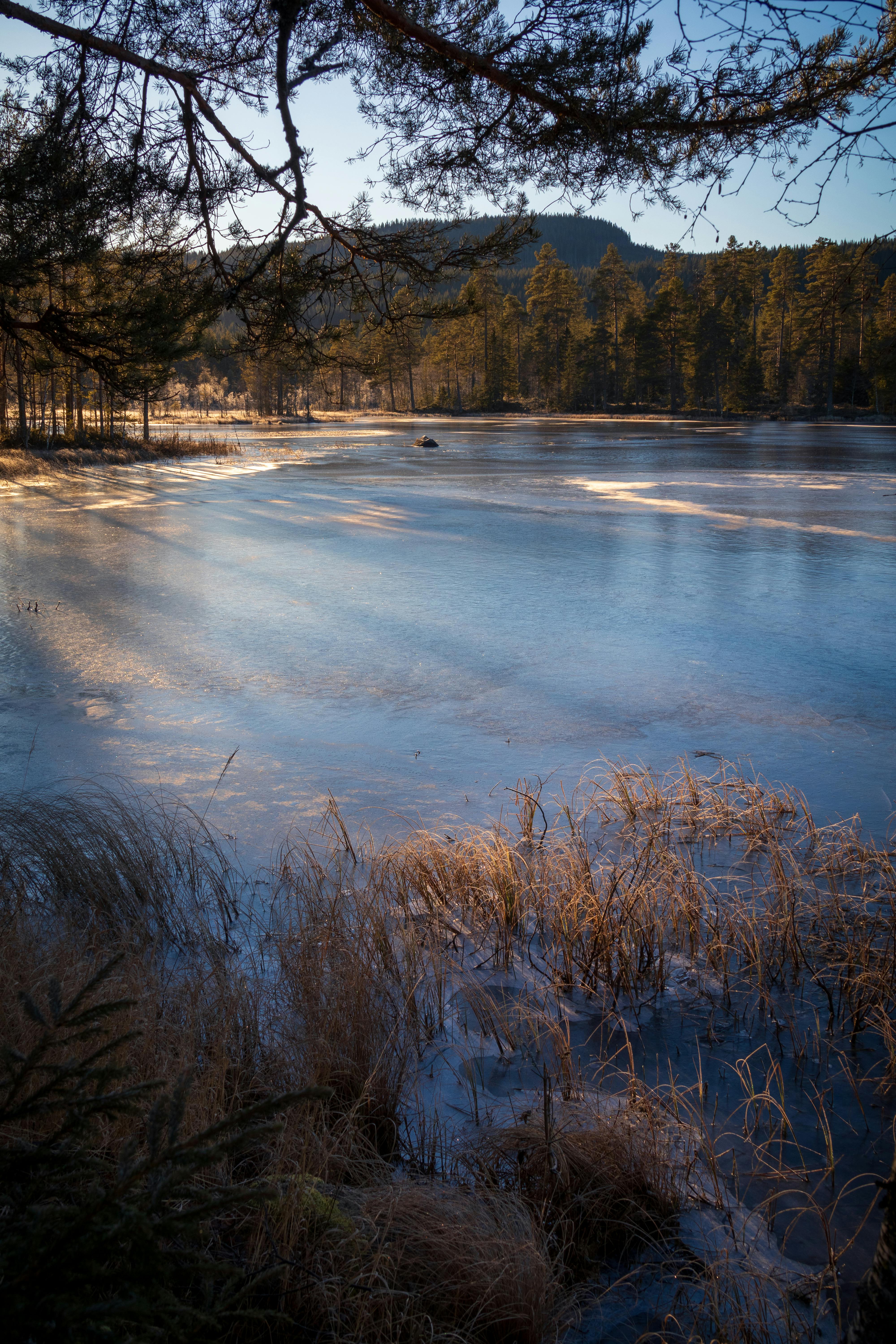 Frozen Elsa Photos, Download The BEST Free Frozen Elsa Stock Photos ...