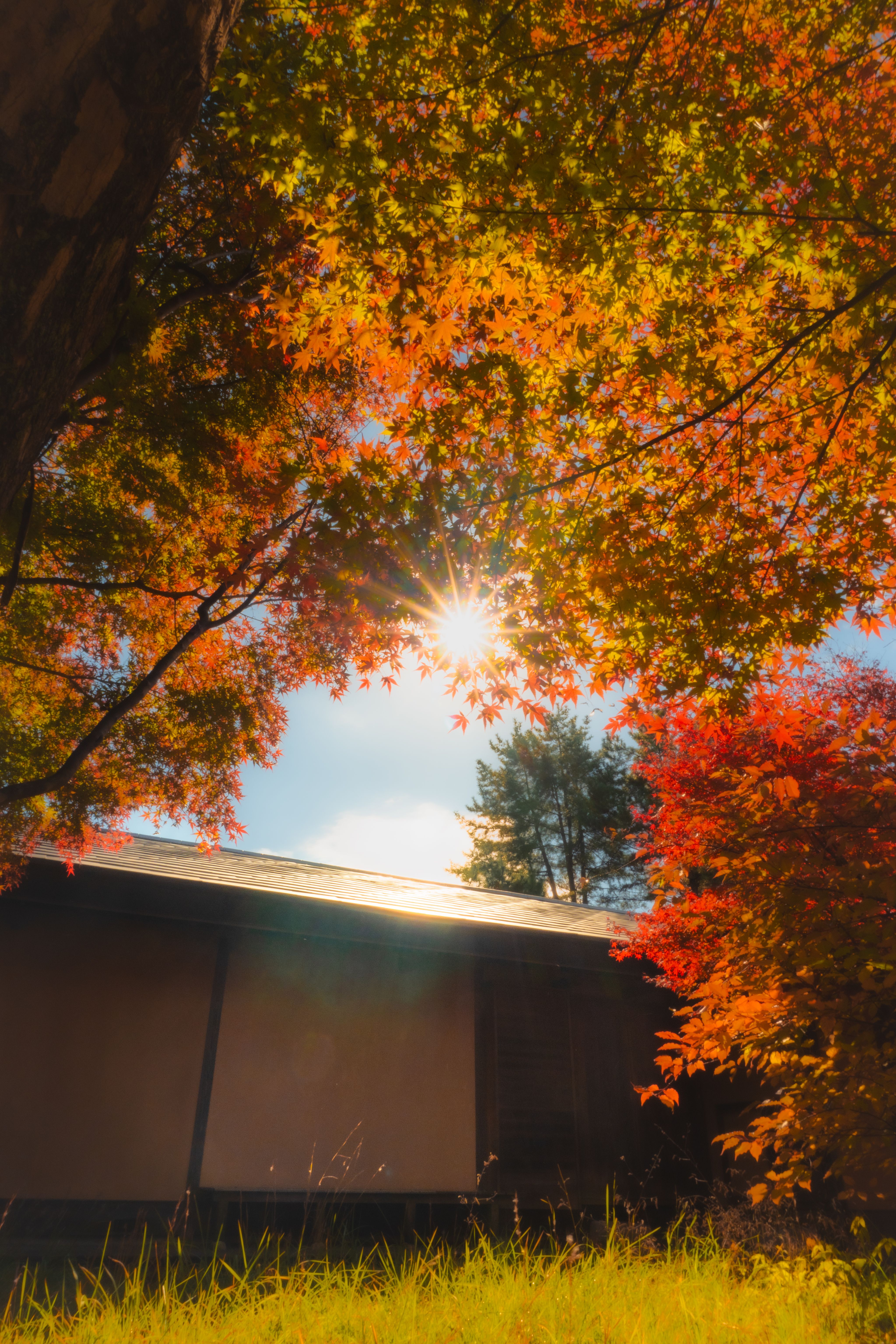 Zen Baker Photos, Download The BEST Free Zen Baker Stock Photos & HD Images