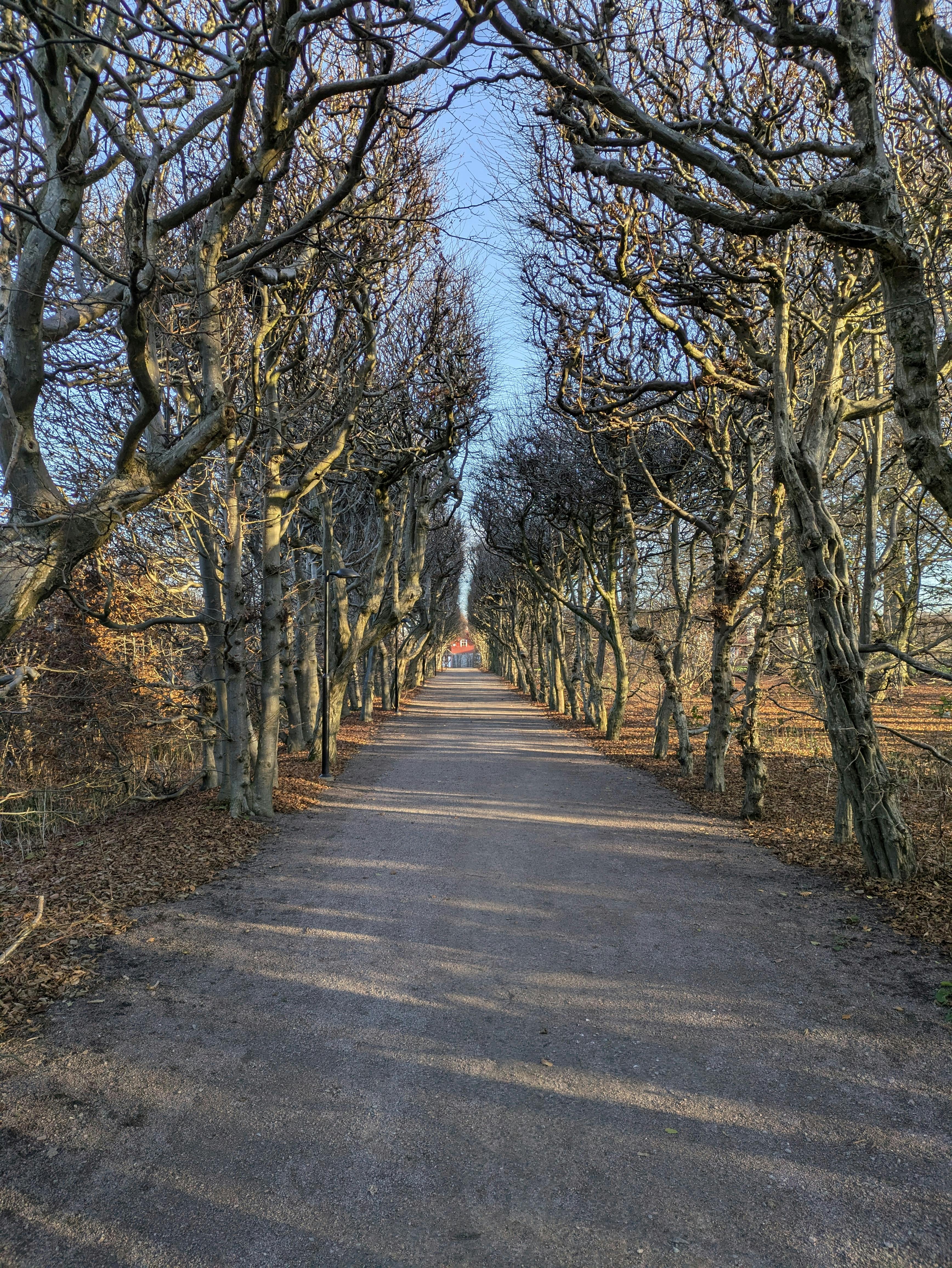 Jakob Andersson - Fotografía