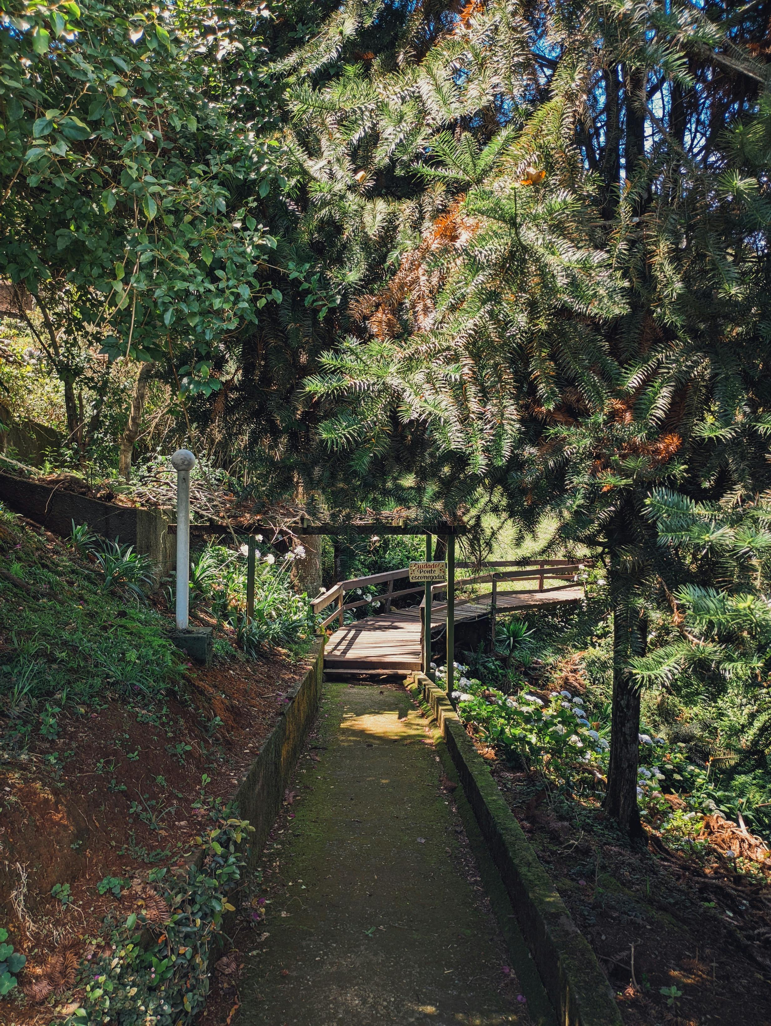 Botanical Walkway Photos, Download The BEST Free Botanical Walkway ...