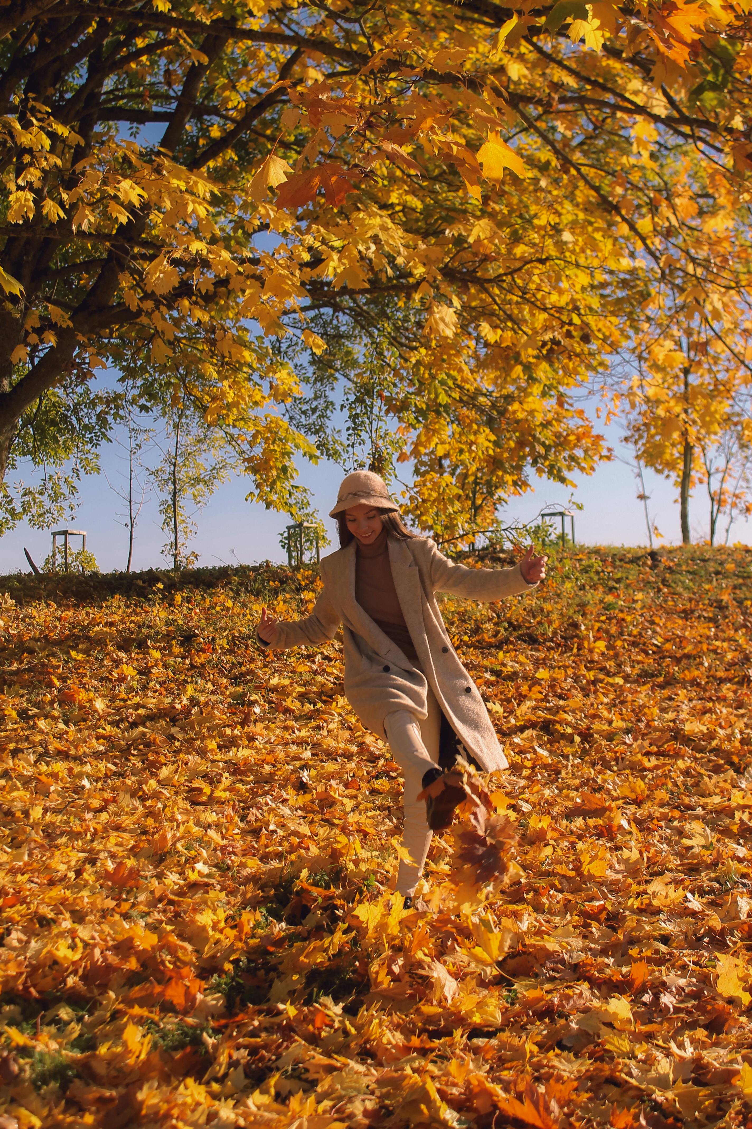 Sun In Autumn Photos, Download The BEST Free Sun In Autumn Stock Photos ...