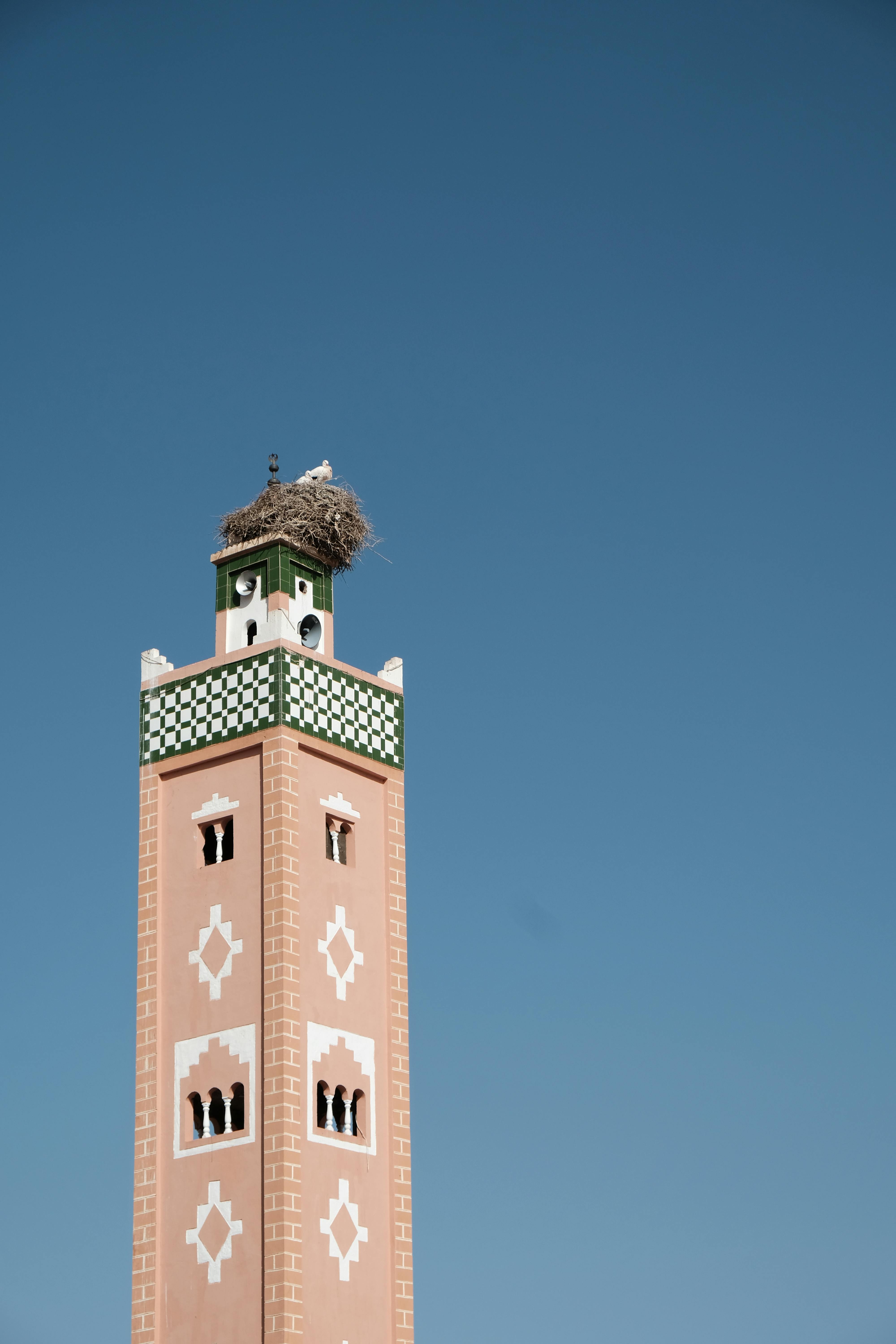 Traditional Moroccan Minaret with Bird's Nest · Free Stock Photo