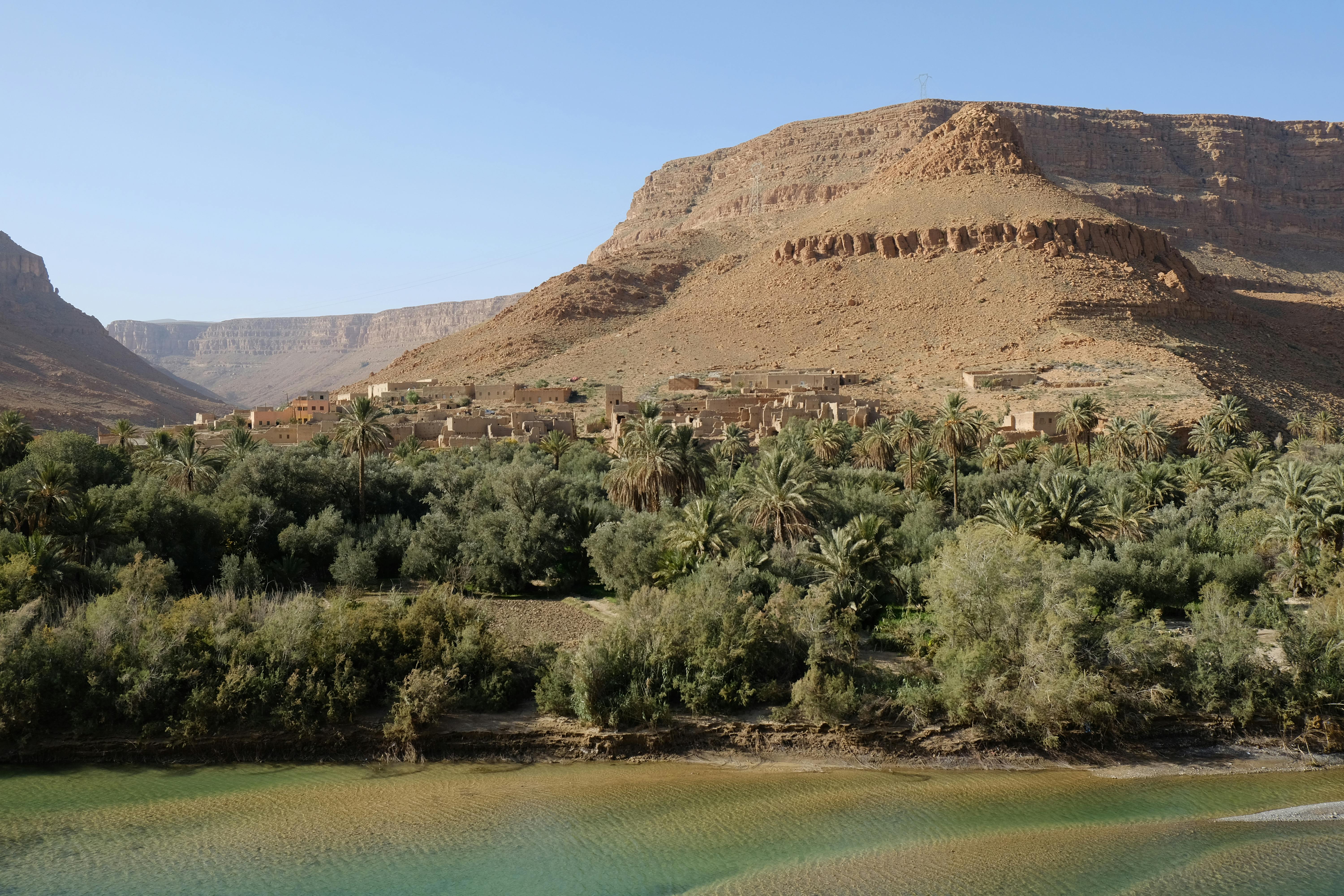 Aerial View of Moroccan Oasis Village · Free Stock Photo