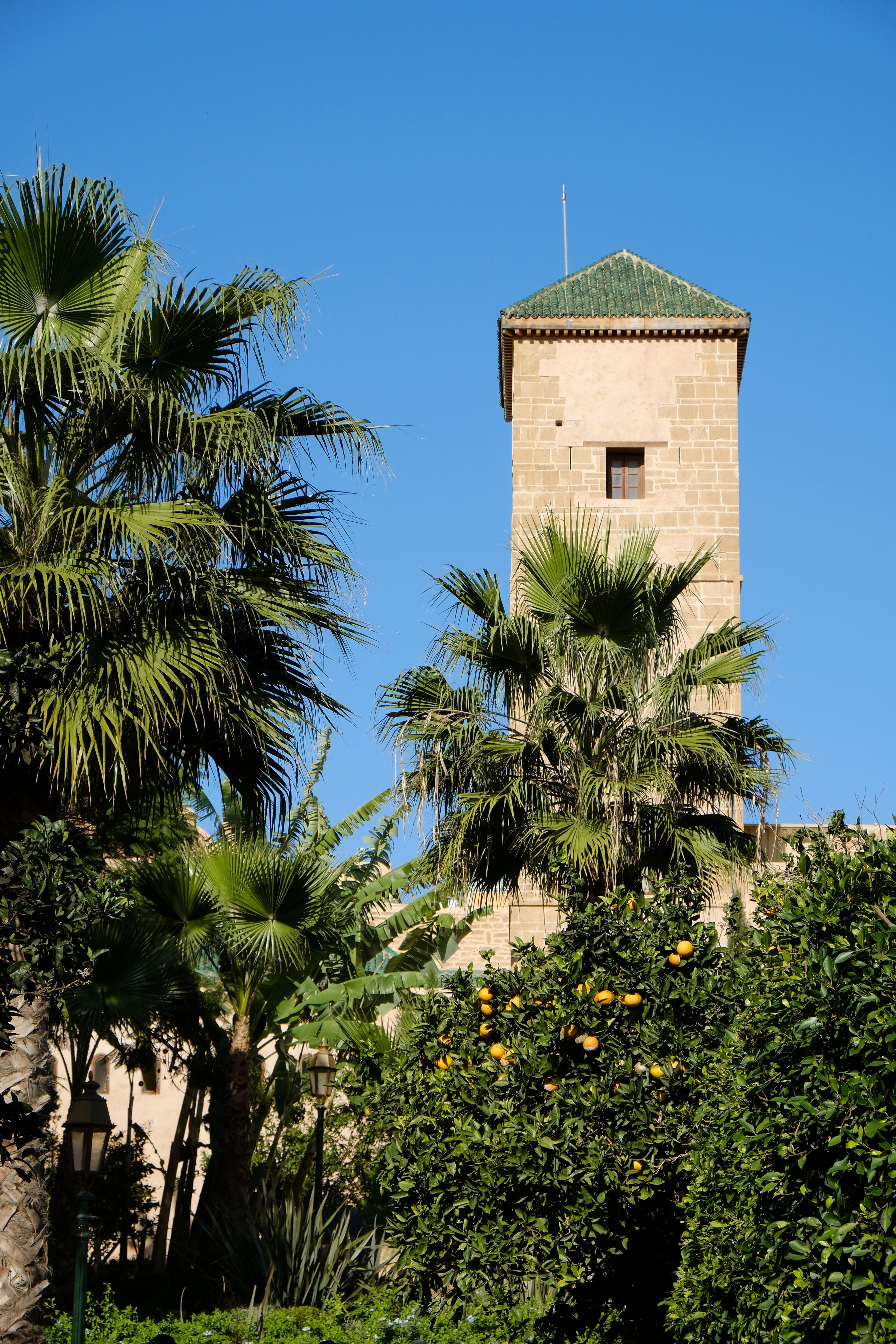 Moroccan Tower Amidst Lush Palms · Free Stock Photo