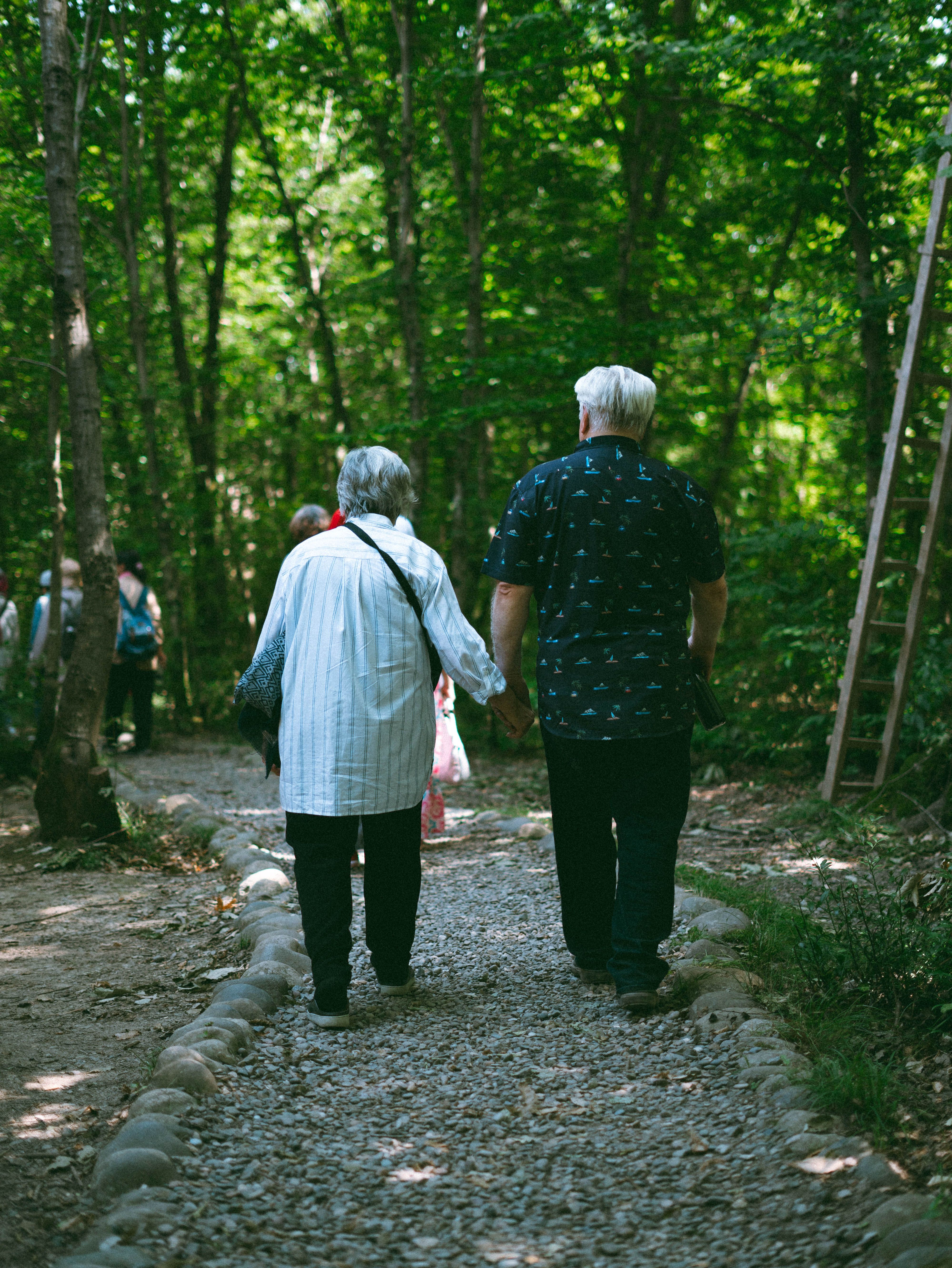 Two People Standing in Forest · Free Stock Photo