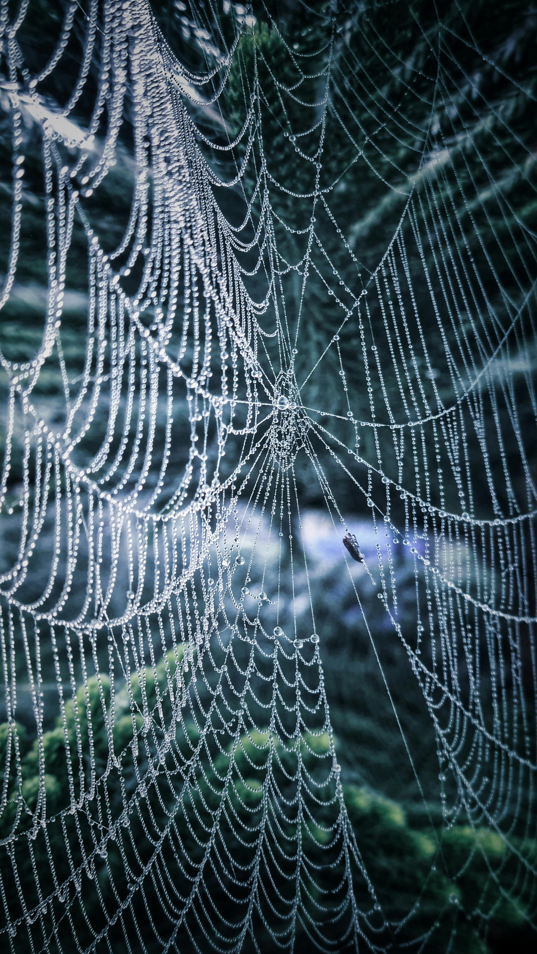 20.000+ melhores imagens de Web Information · Download 100% grátis ...