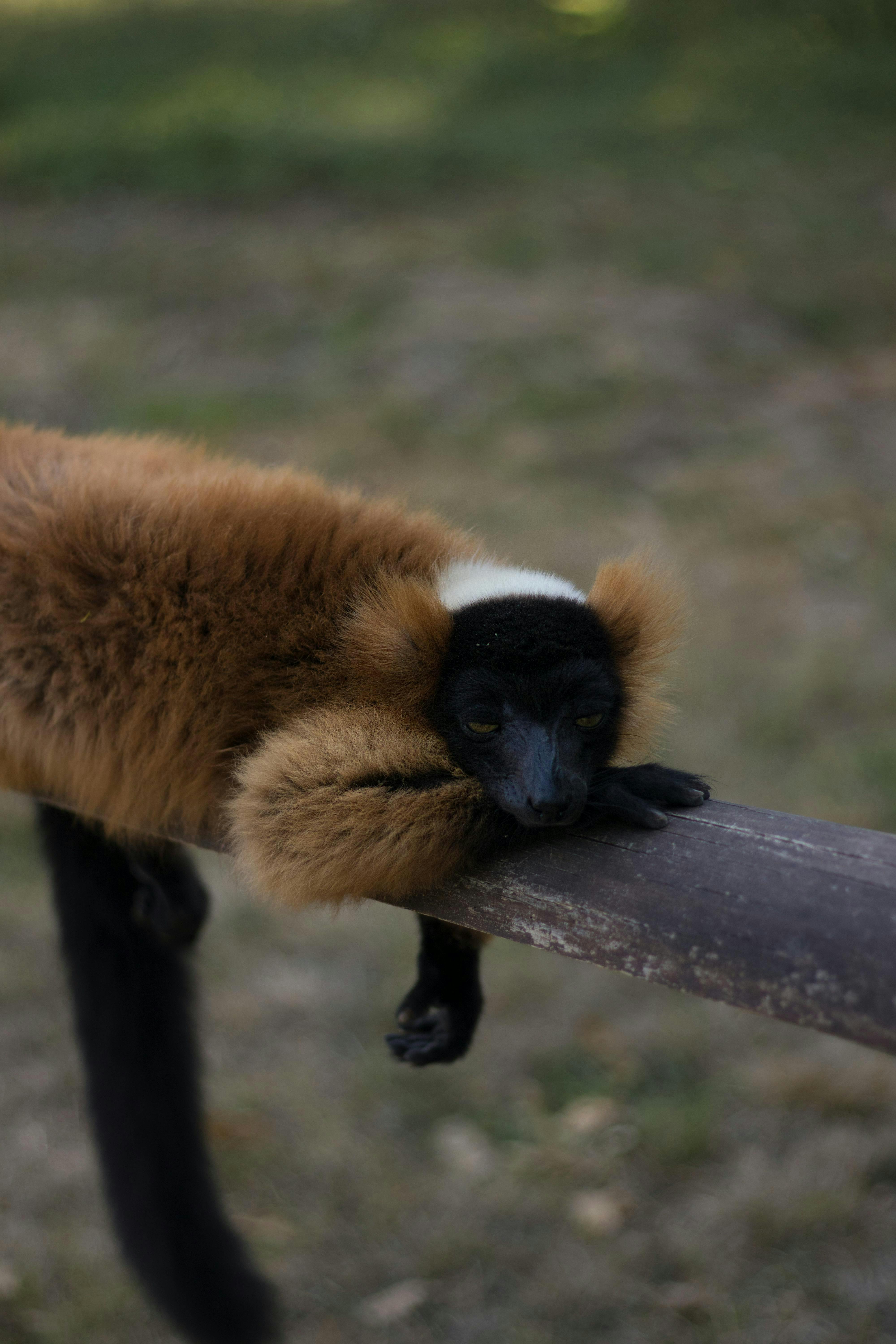 Tired In Nature Photos, Download The BEST Free Tired In Nature Stock ...