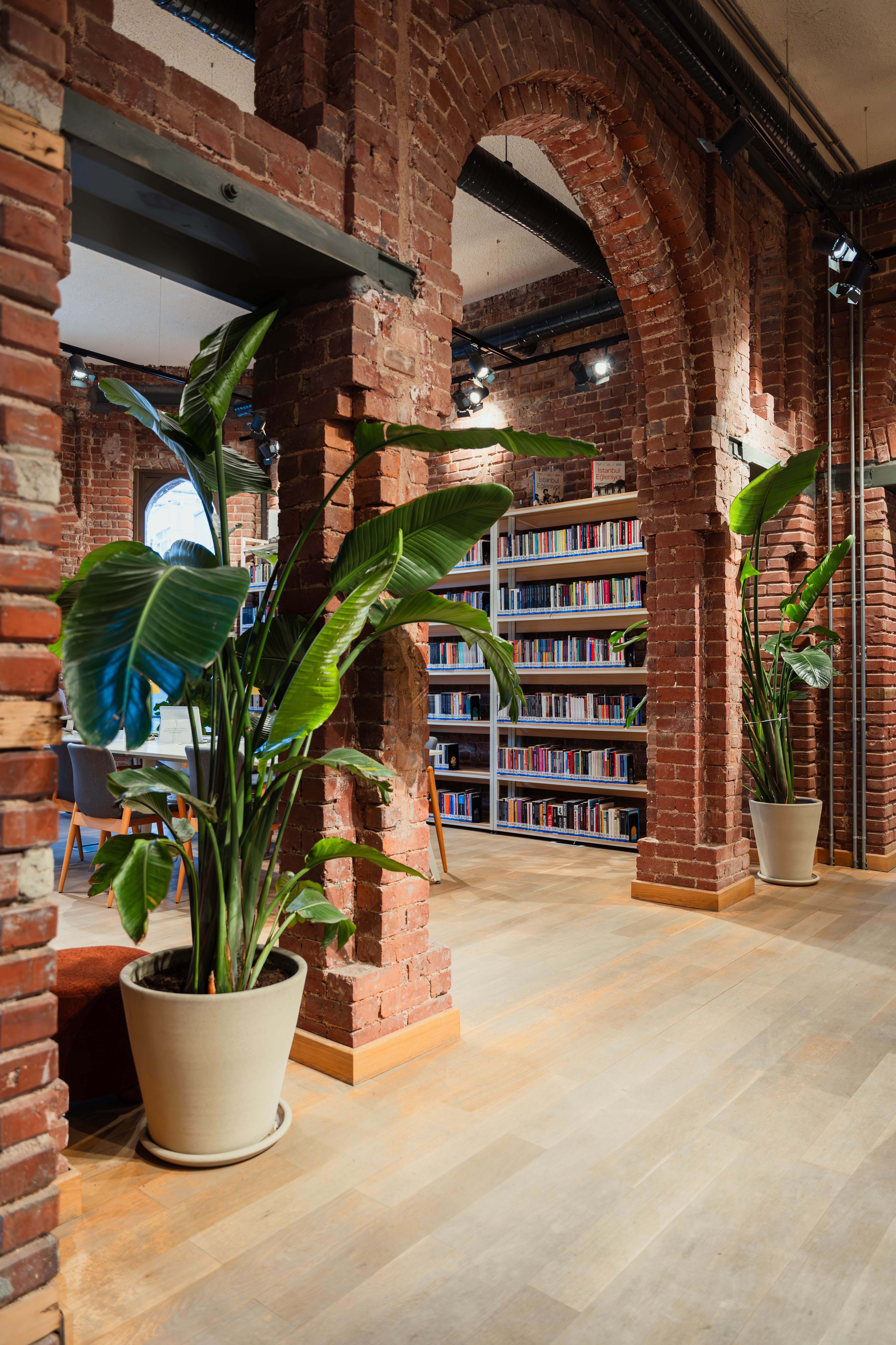 Modern Library with Exposed Brick Arches and Greenery · Free Stock Photo