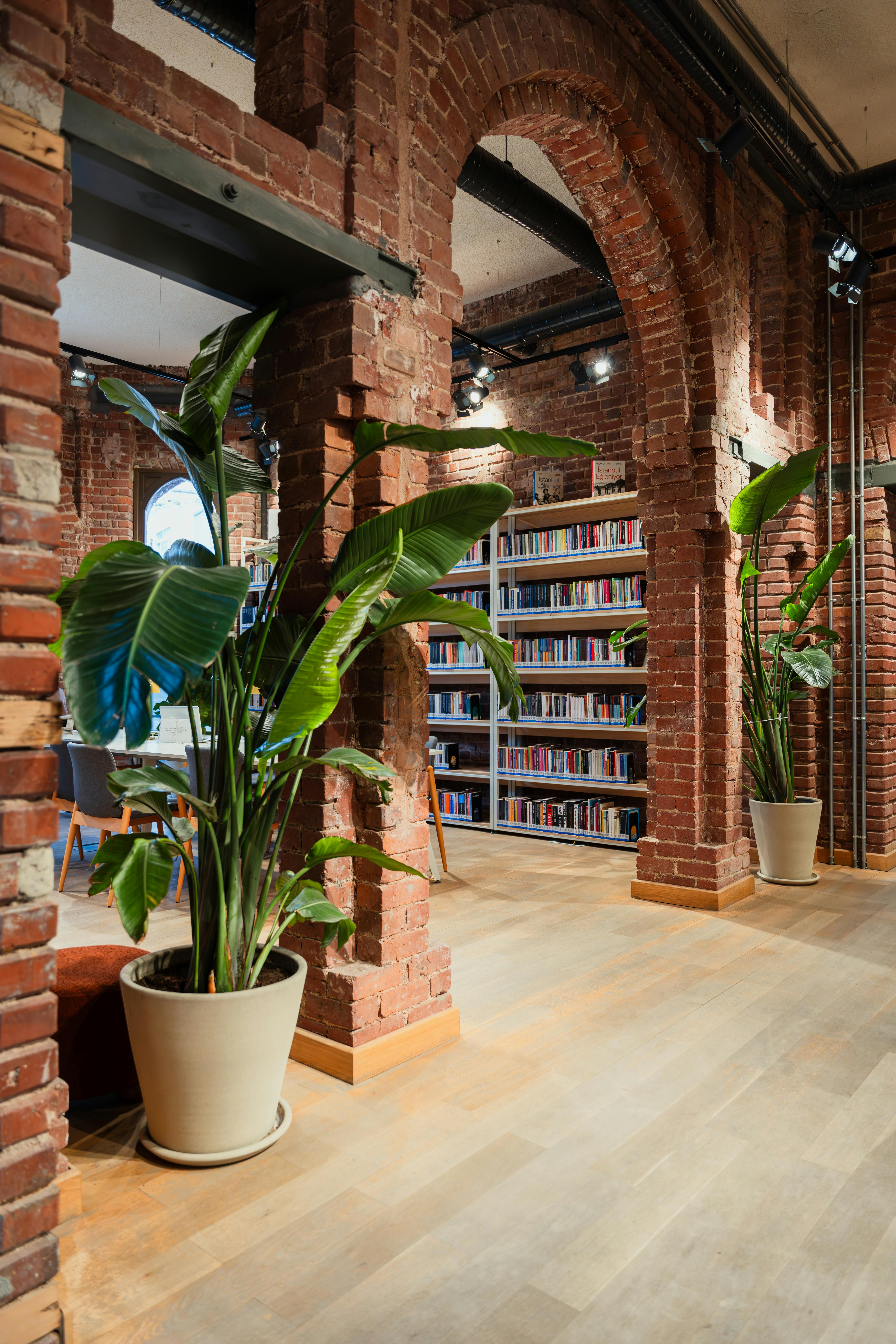 Chic Library Photos, Download The BEST Free Chic Library Stock Photos ...