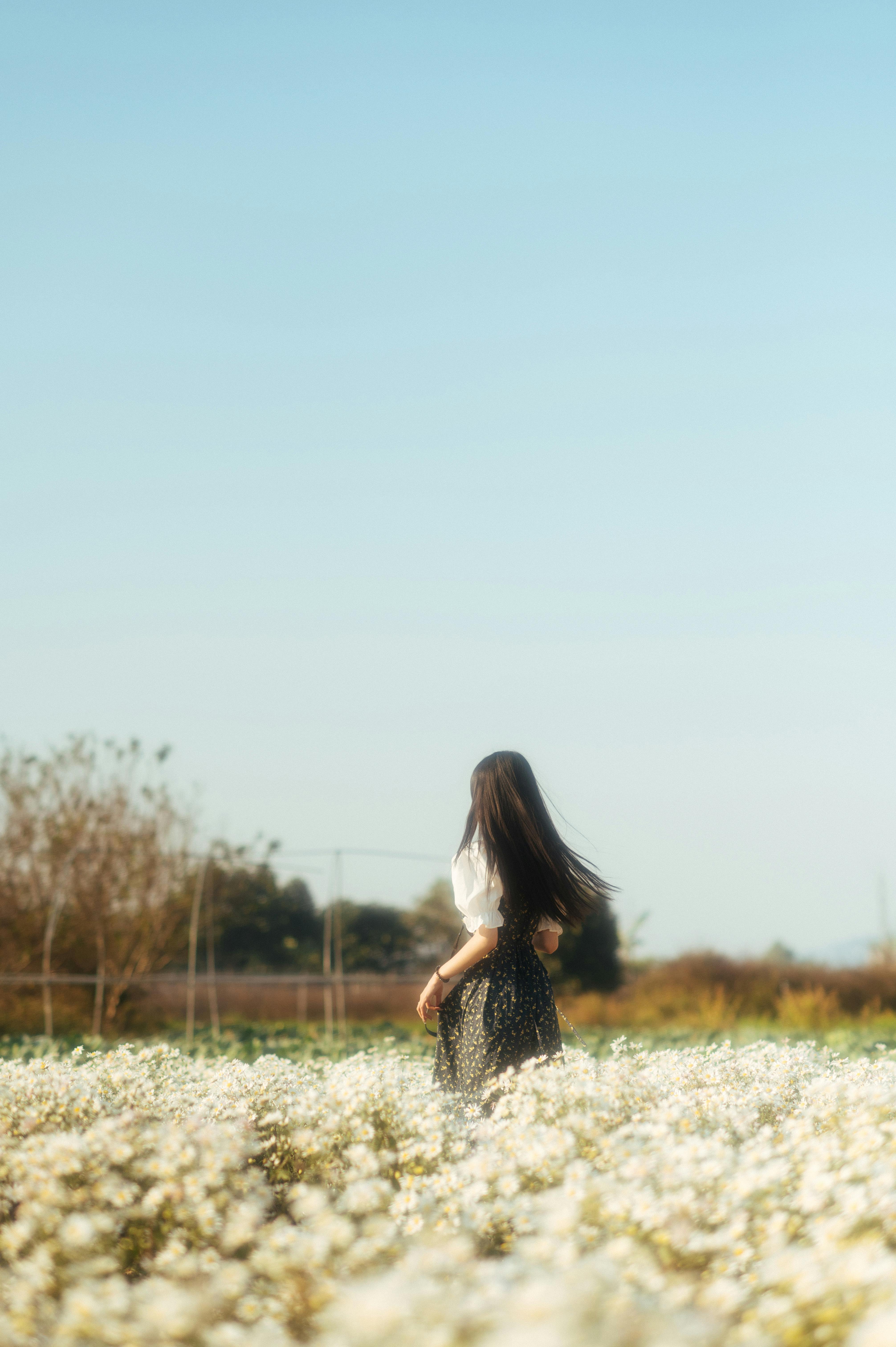 Pho Photo Photos, Download The BEST Free Pho Photo Stock Photos & HD Images