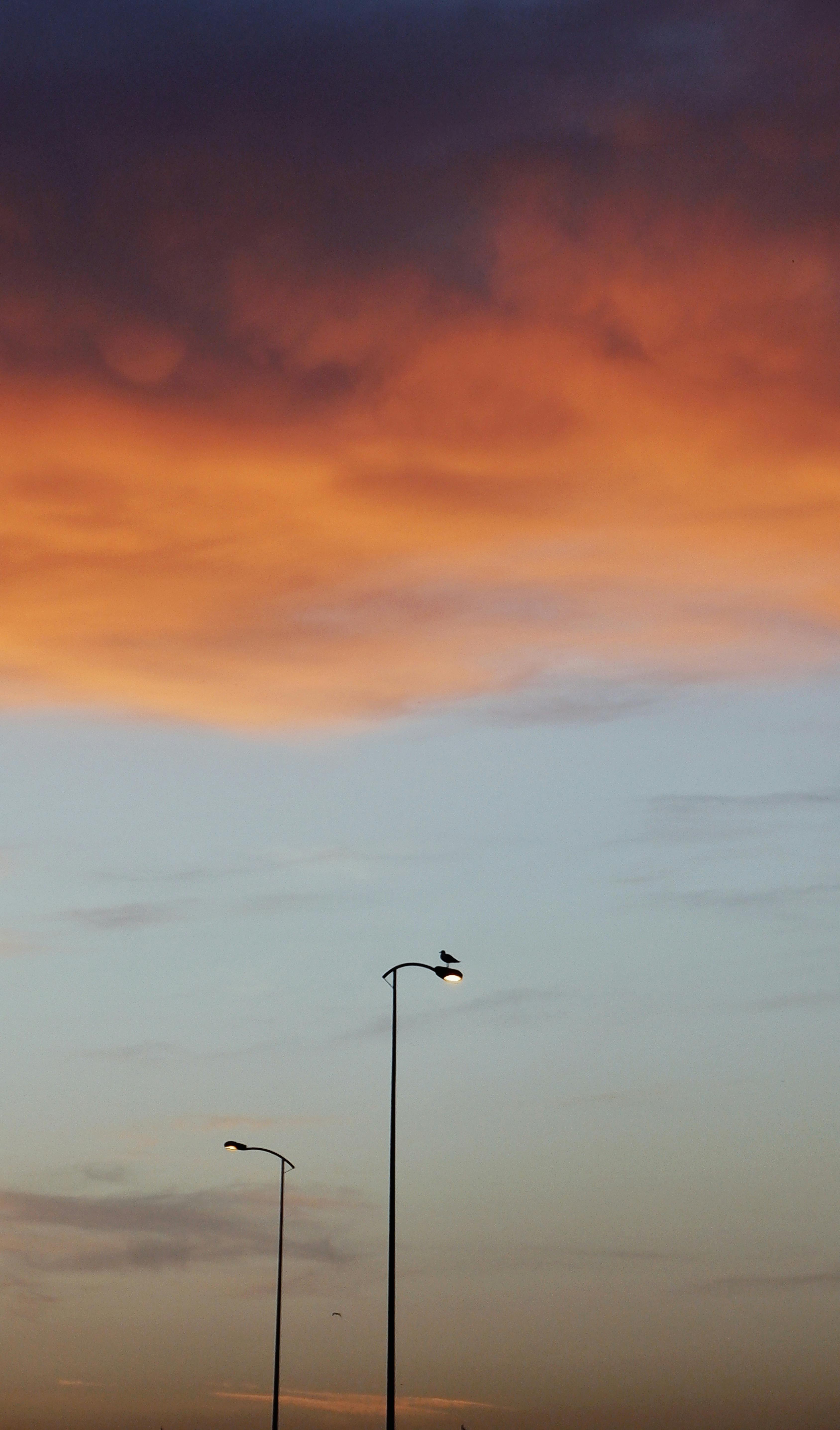 Streetlights Under Vibrant Sunset Sky · Free Stock Photo