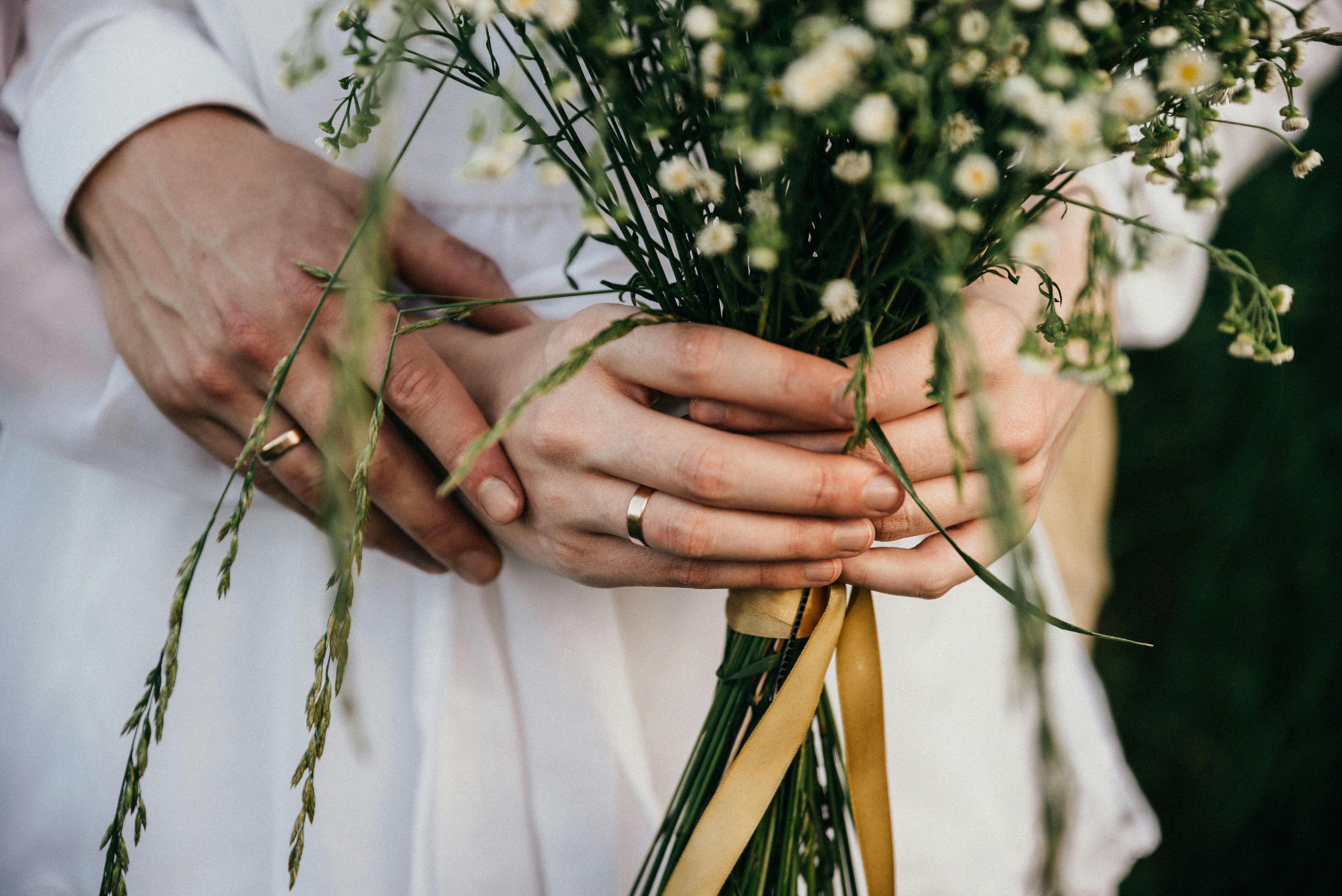 Bande Colorée Photos, Download The BEST Free Bande Colorée Stock Photos ...