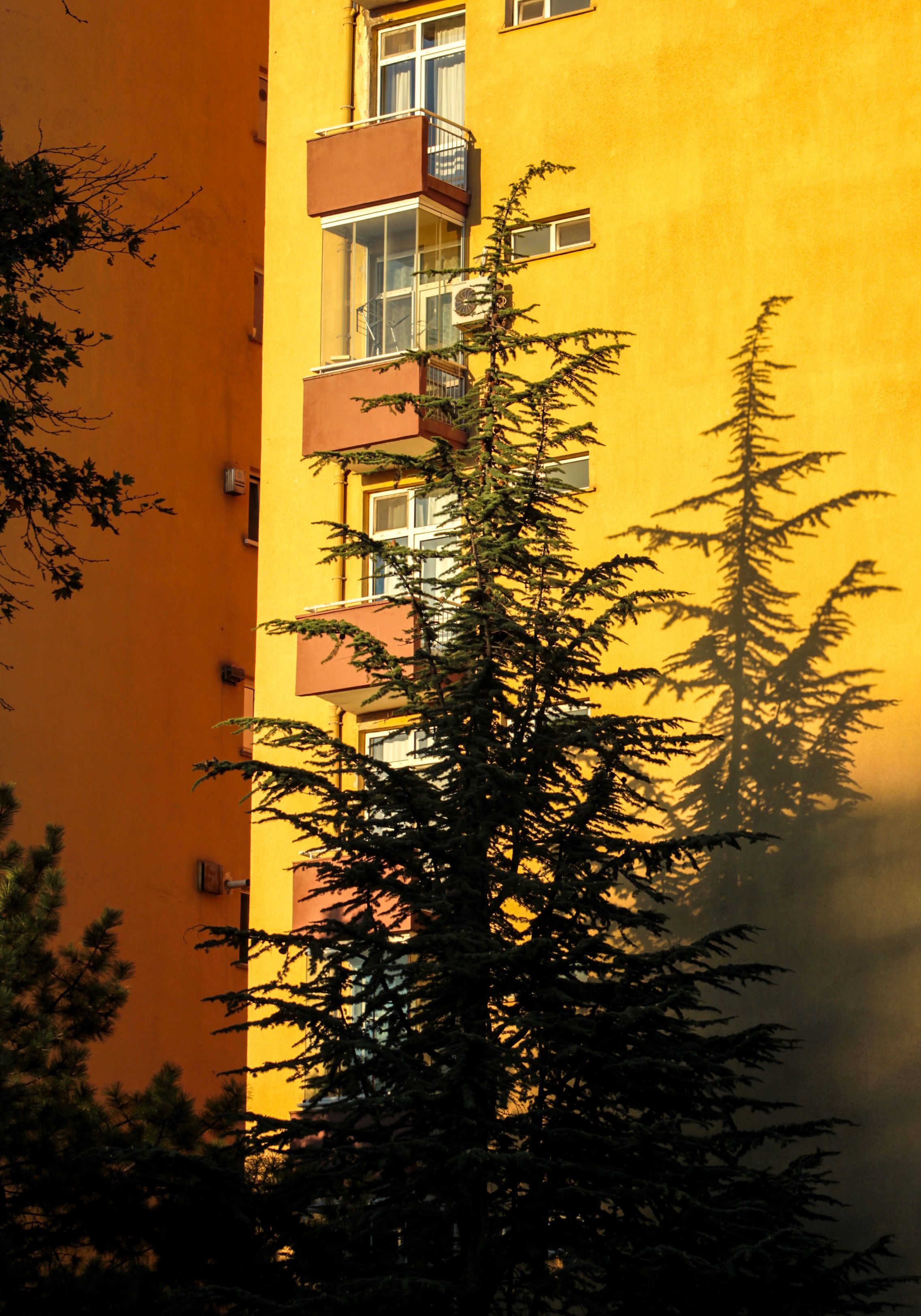 Sunlit Apartment Building with Tree Shadows · Free Stock Photo