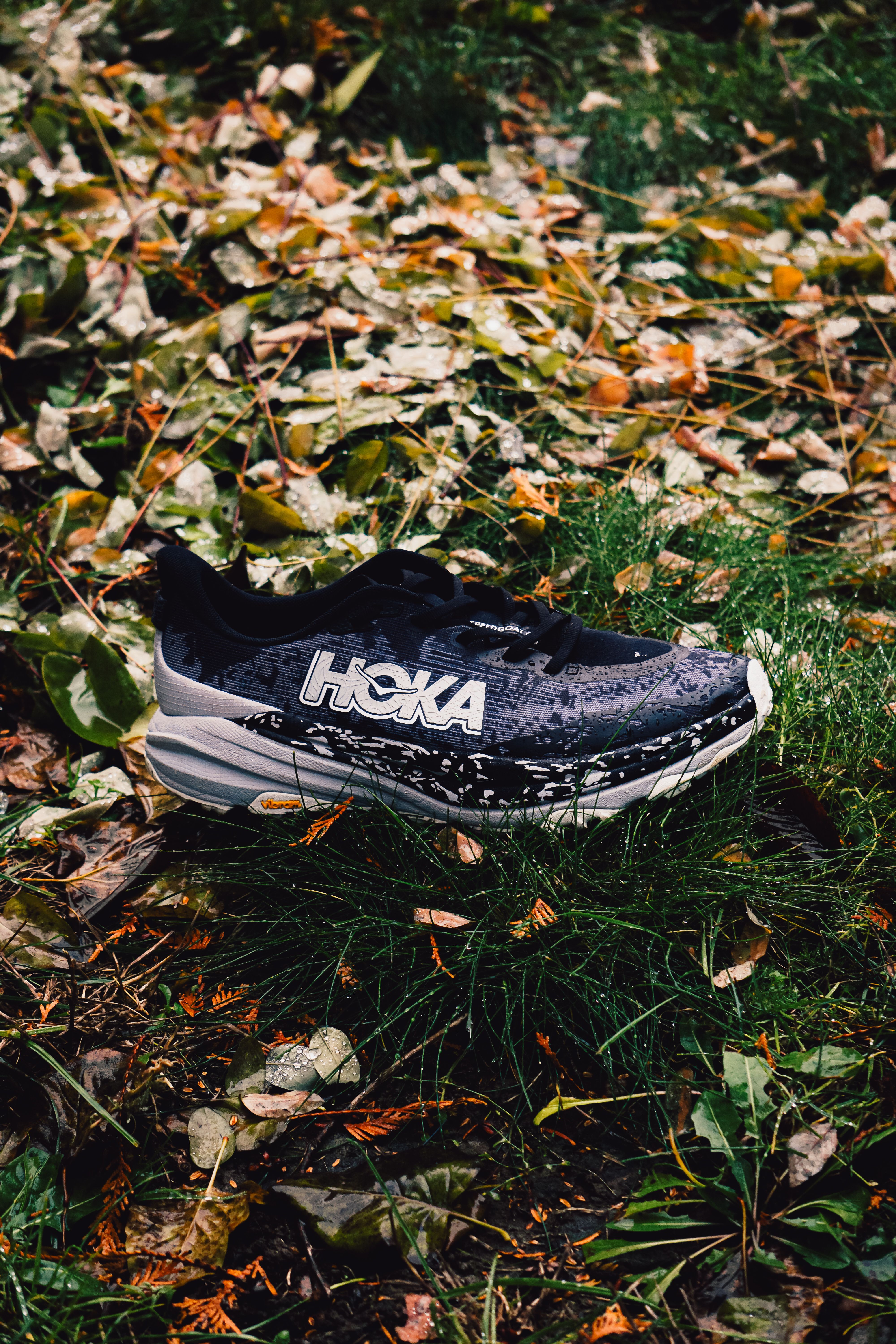 Black Sports Shoe on Vibrant Autumn Leaves · Free Stock Photo