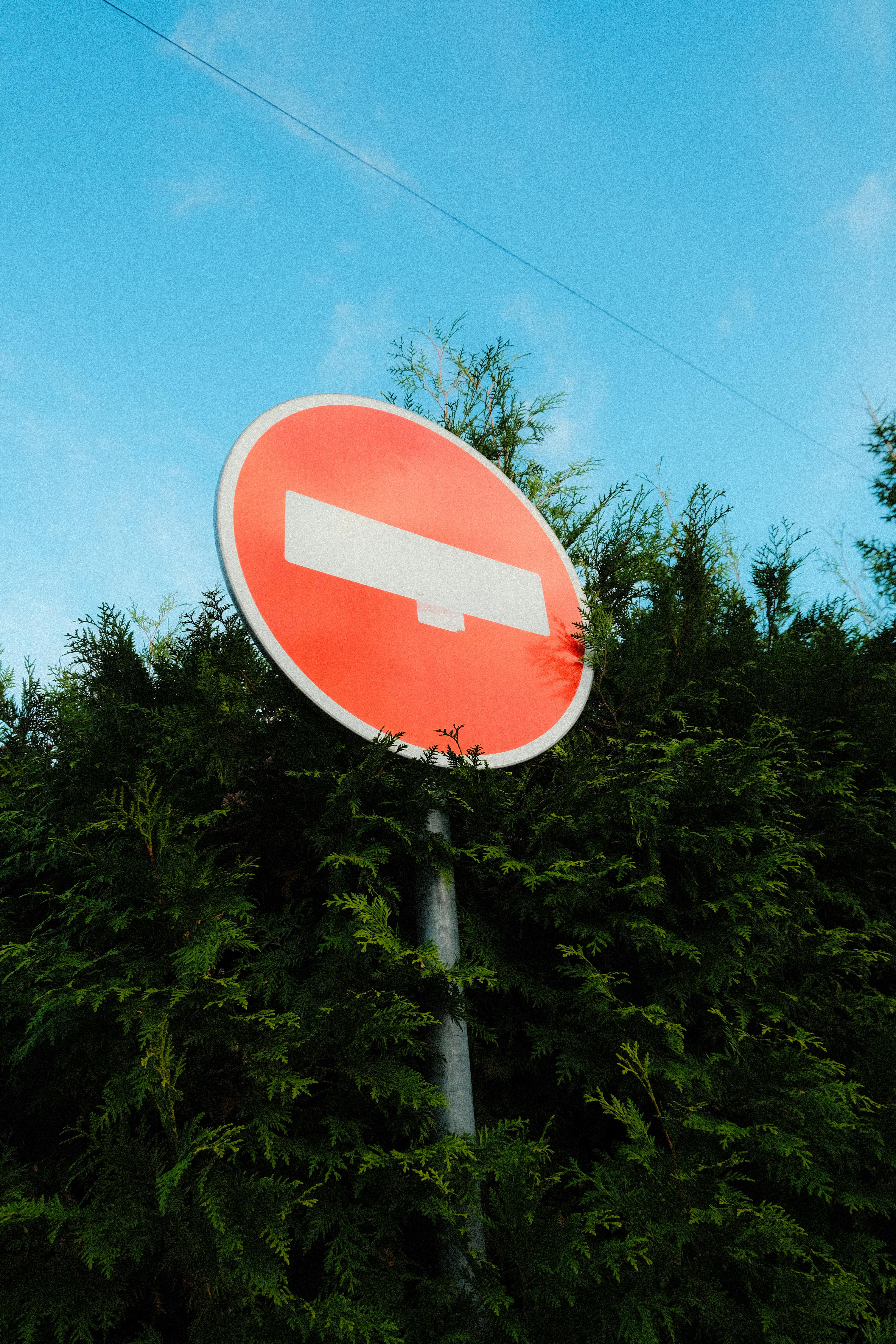 Rambu Larangan Lalu Lintas Di Tengah Pepohonan Hijau Di Kaliningrad ...