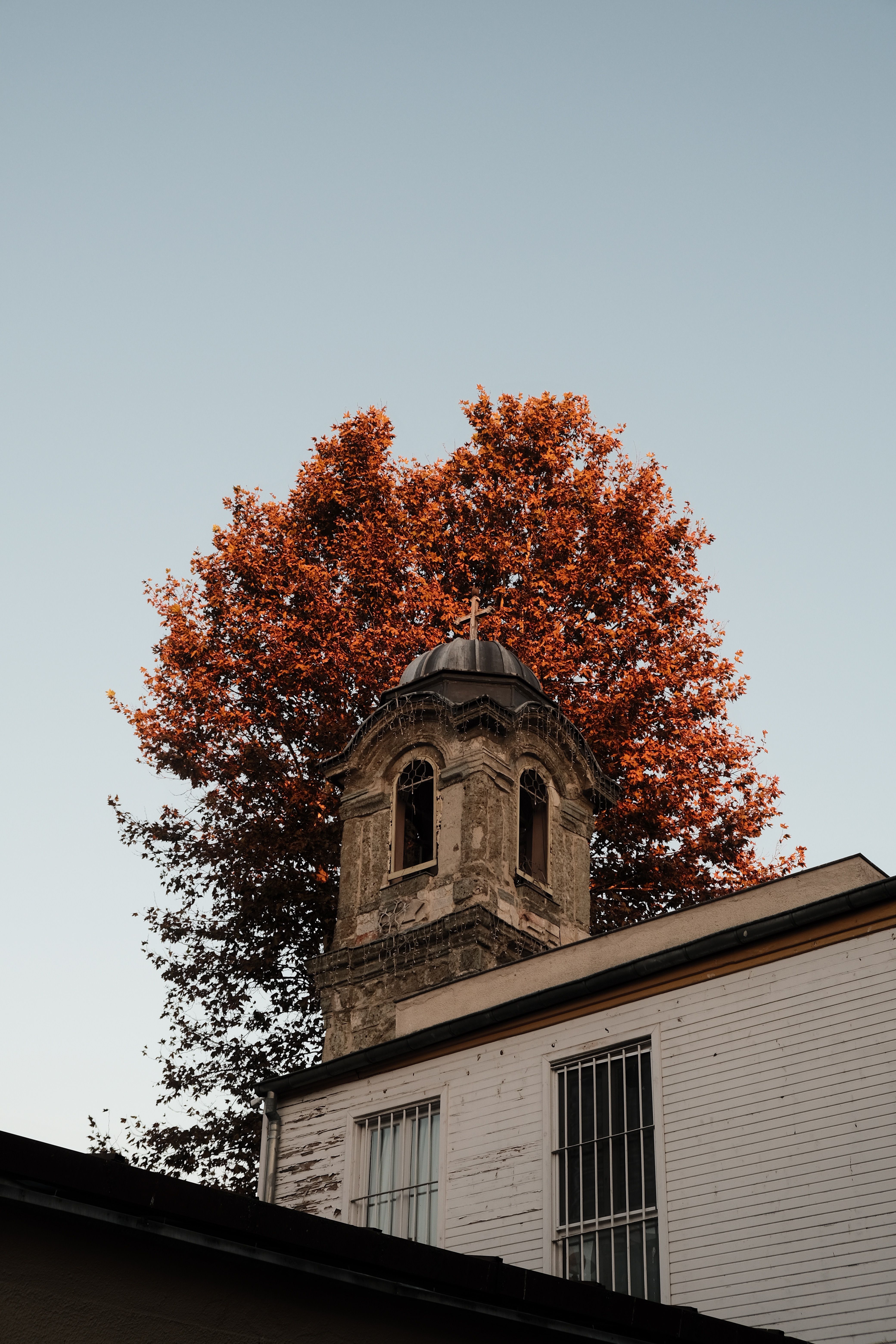 Historic Building and Autumn Foliage at Sunset · Free Stock Photo