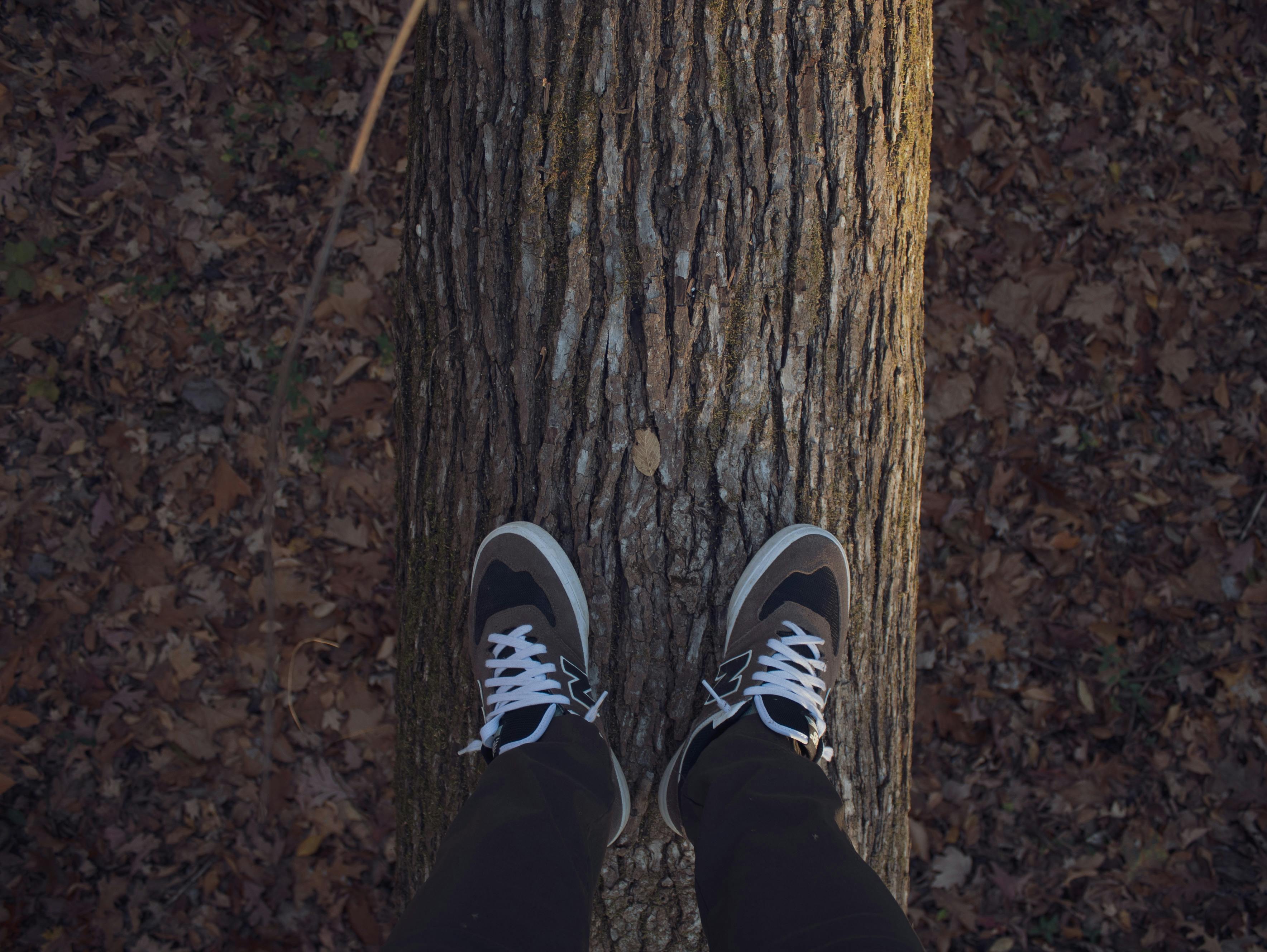 Balancing on Tree Trunk with Sneakers · Free Stock Photo