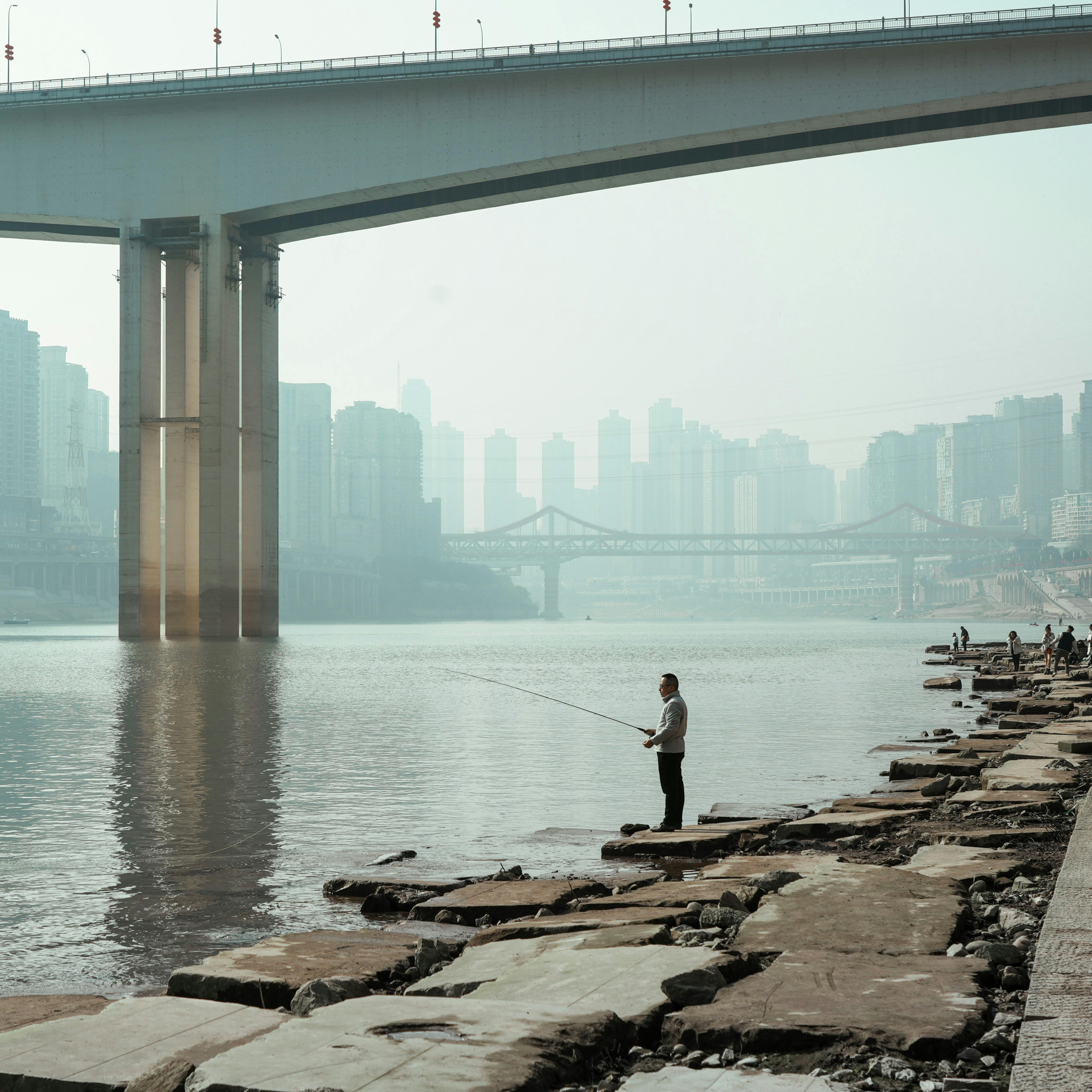 Urban Fishing by the River under Bridge Skyscrapers · Free Stock Photo