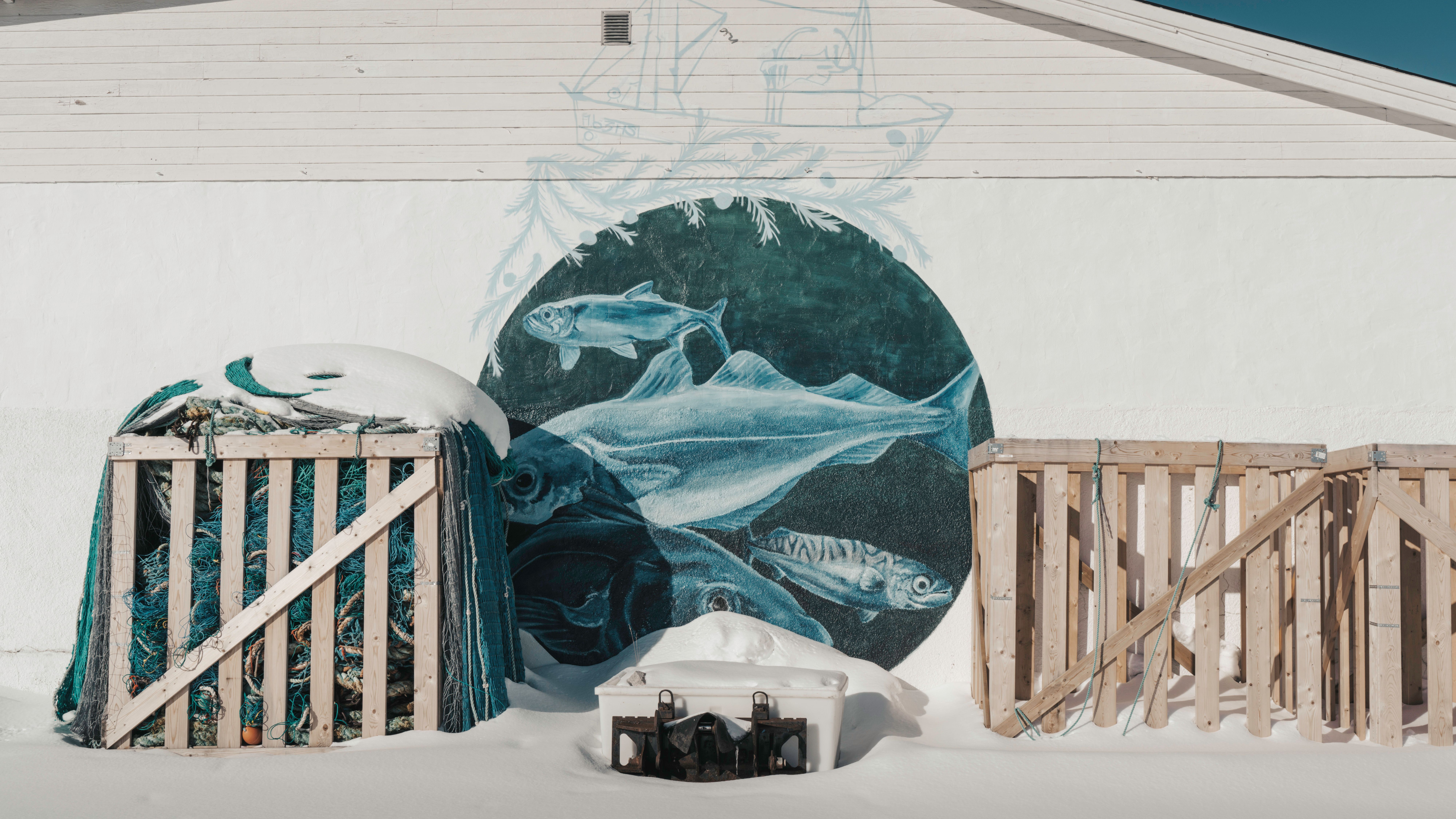 Artistic Arctic Mural with Fish Motif in Norway · Free Stock Photo