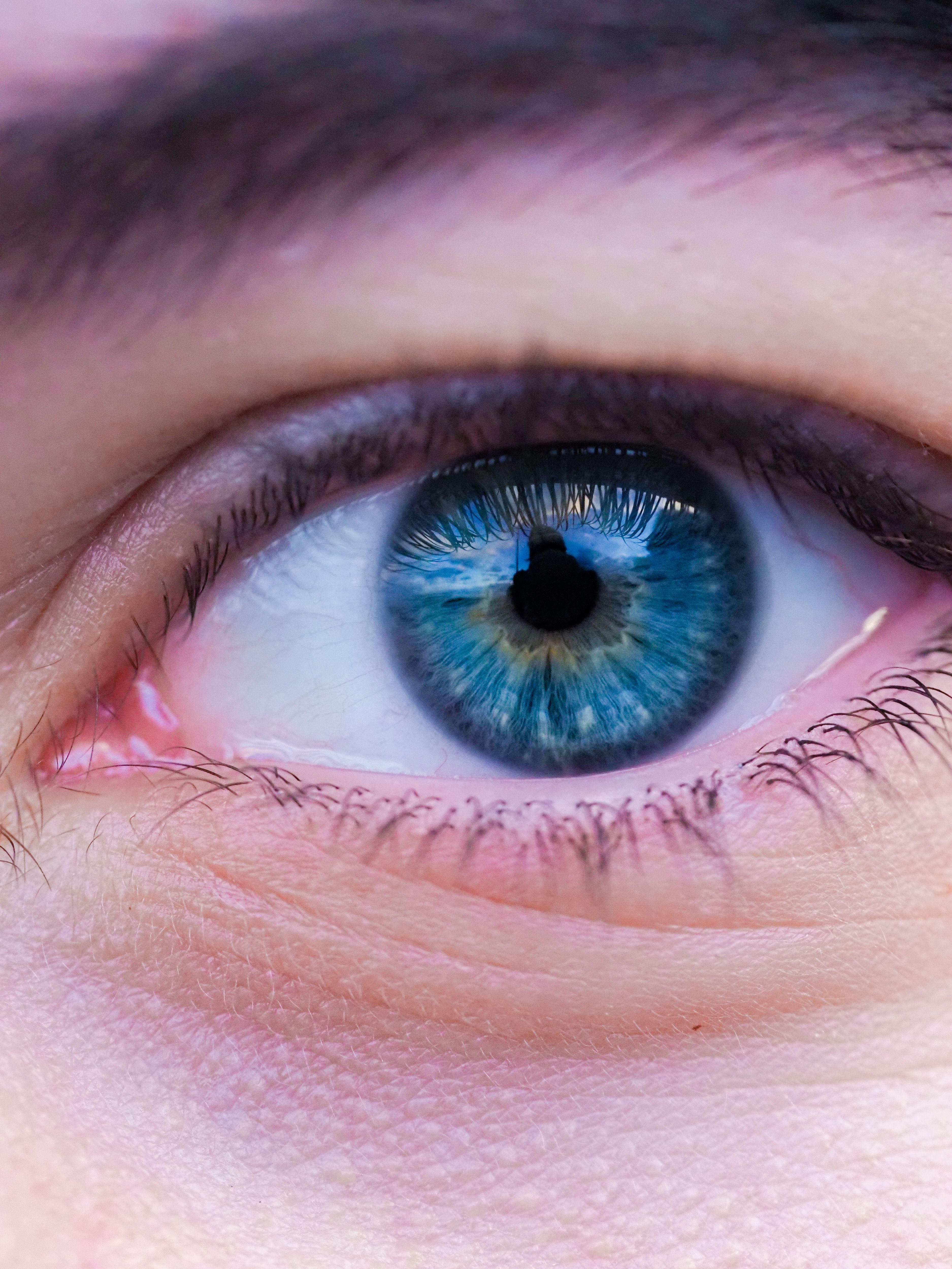 Blue Human Eye · Free Stock Photo