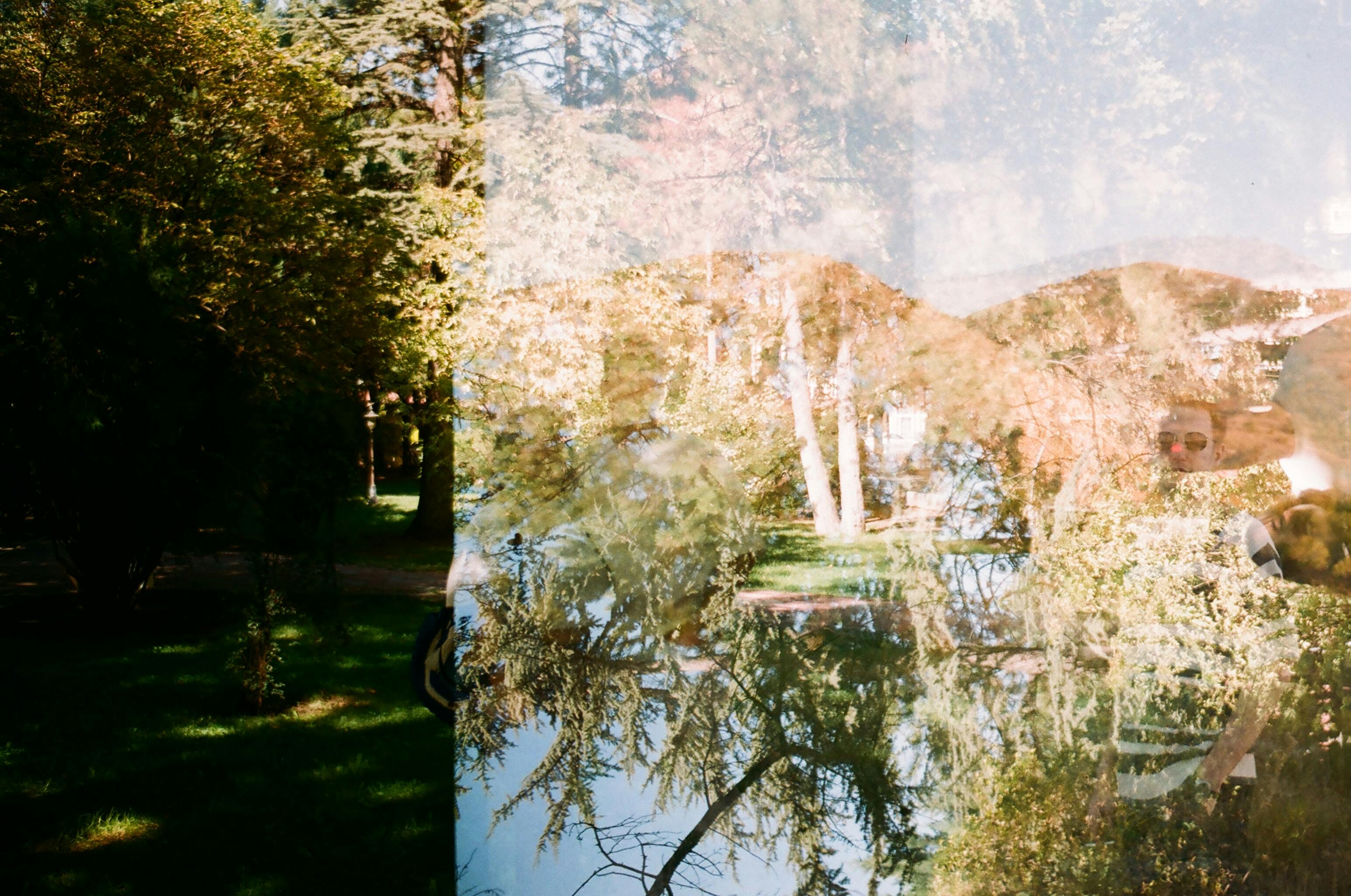 Artistic Double Exposure of Nature and Reflection · Free Stock Photo