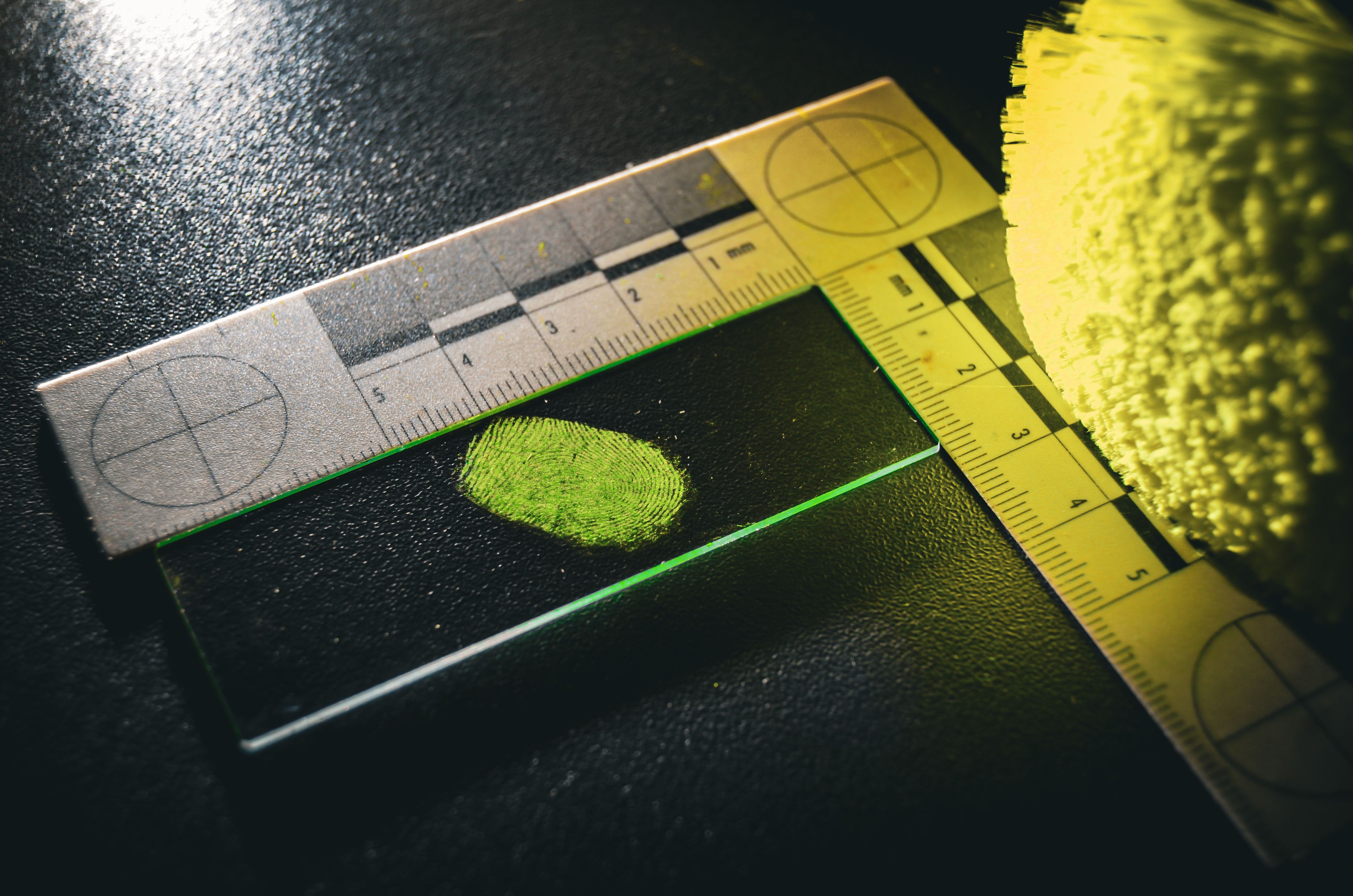 Close-Up of Green Fingerprint on Glass Slide · Free Stock Photo