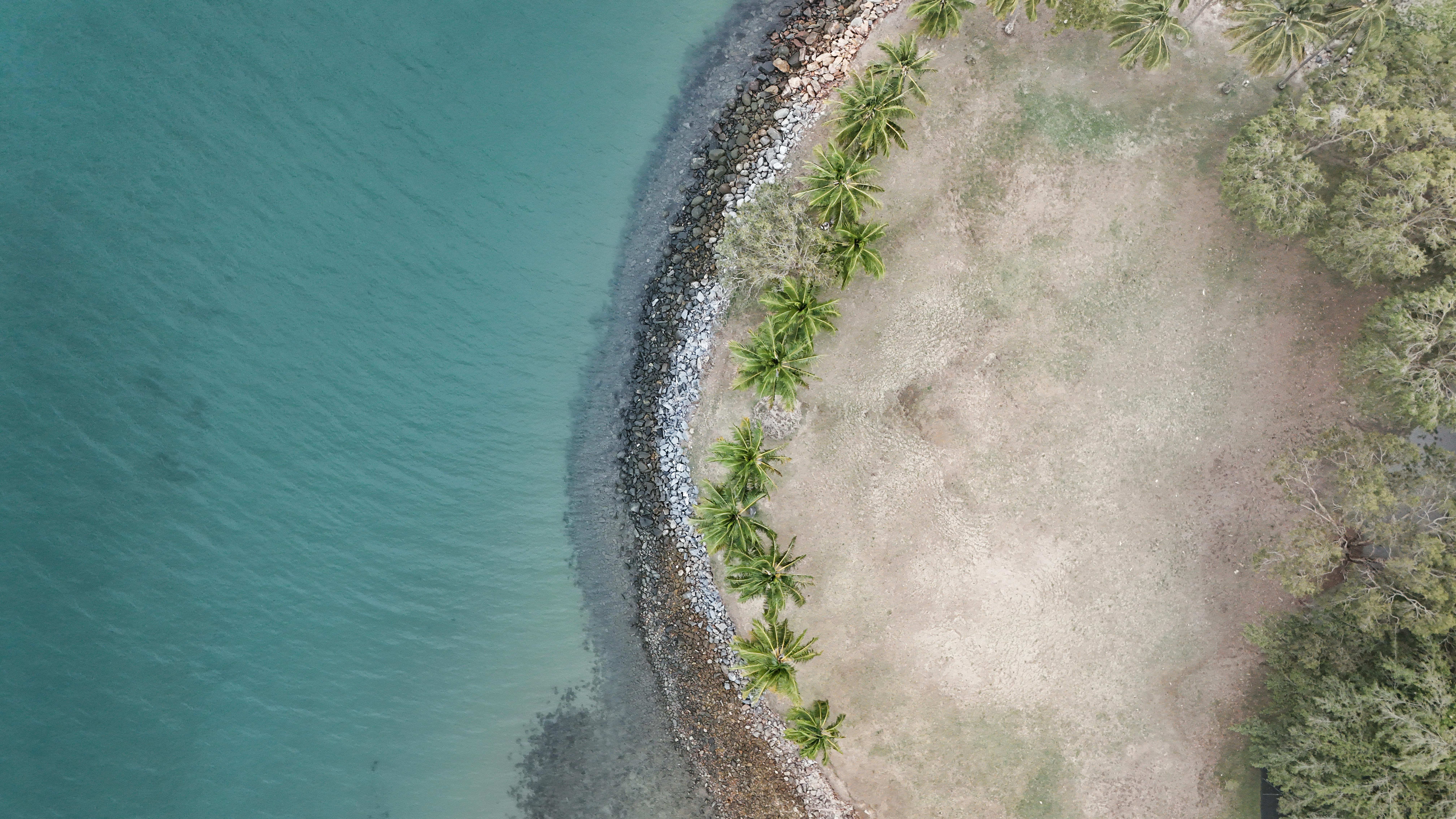 Aerial View of Coastal Palm-Lined Shoreline · Free Stock Photo