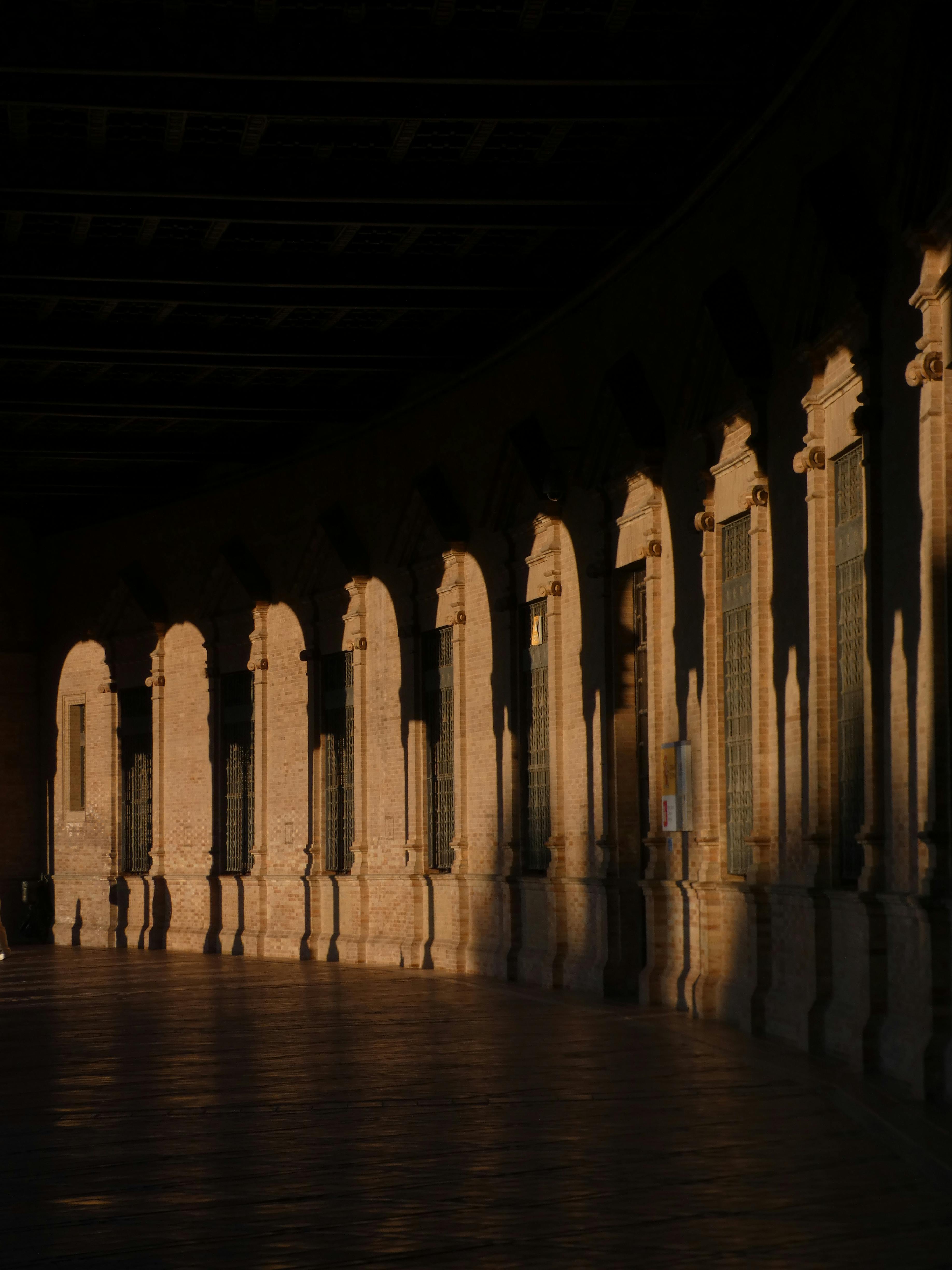 Sunlit Architectural Columns in Shadow · Free Stock Photo