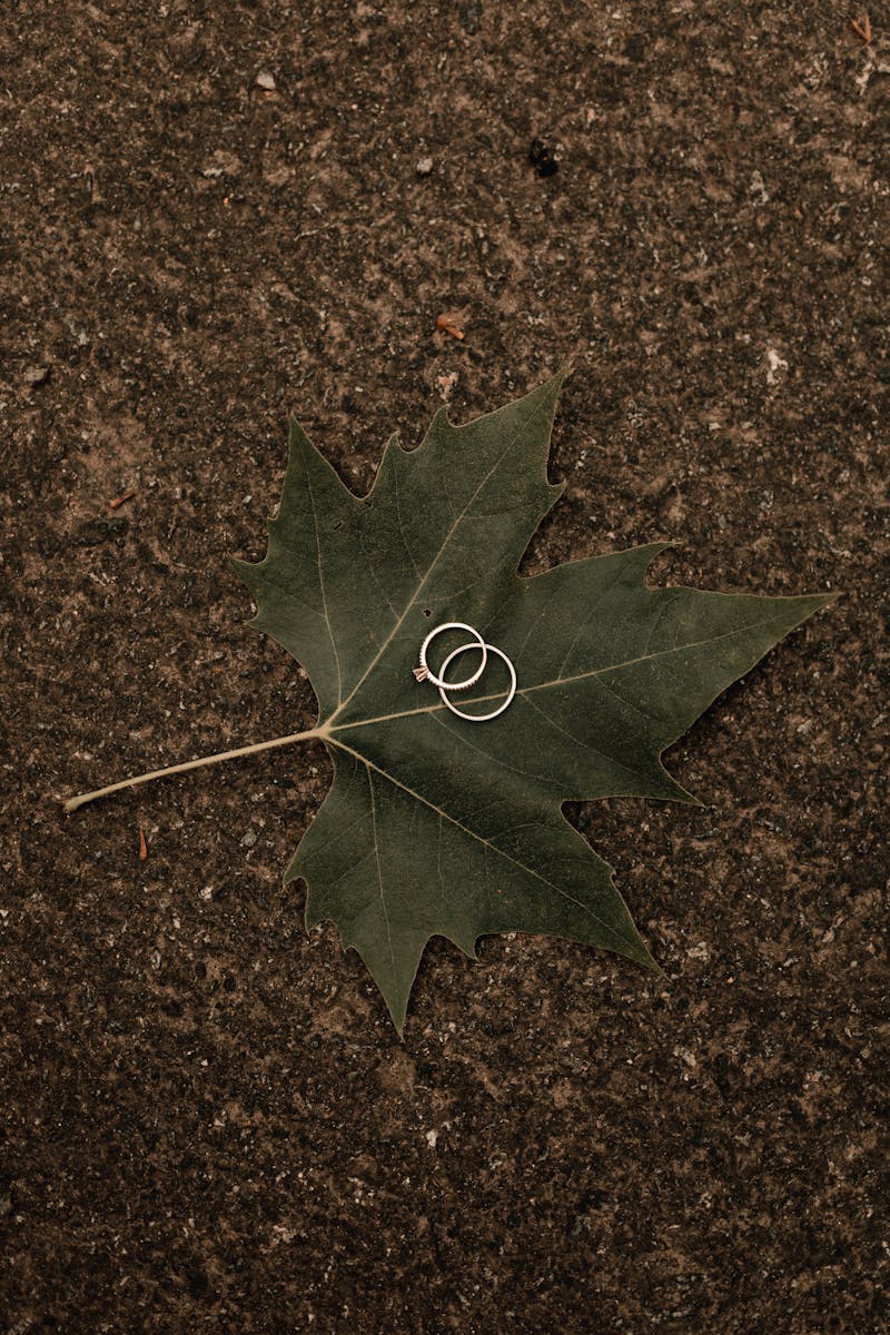 Anniversary Autumn Photos, Download The BEST Free Anniversary Autumn ...