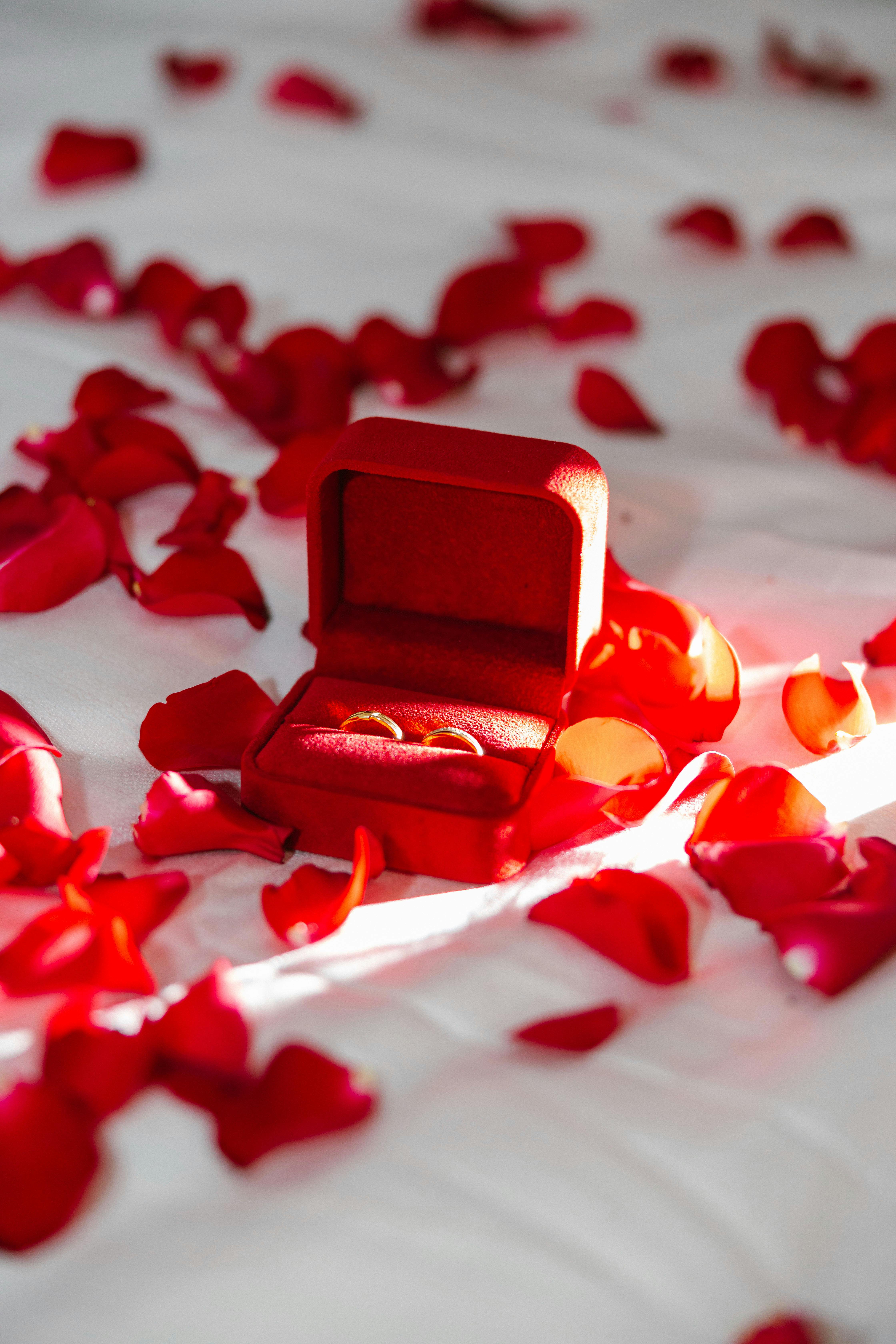 Coffret à Bagues En Velours Rouge Avec Pétales De Rose · Photo gratuite