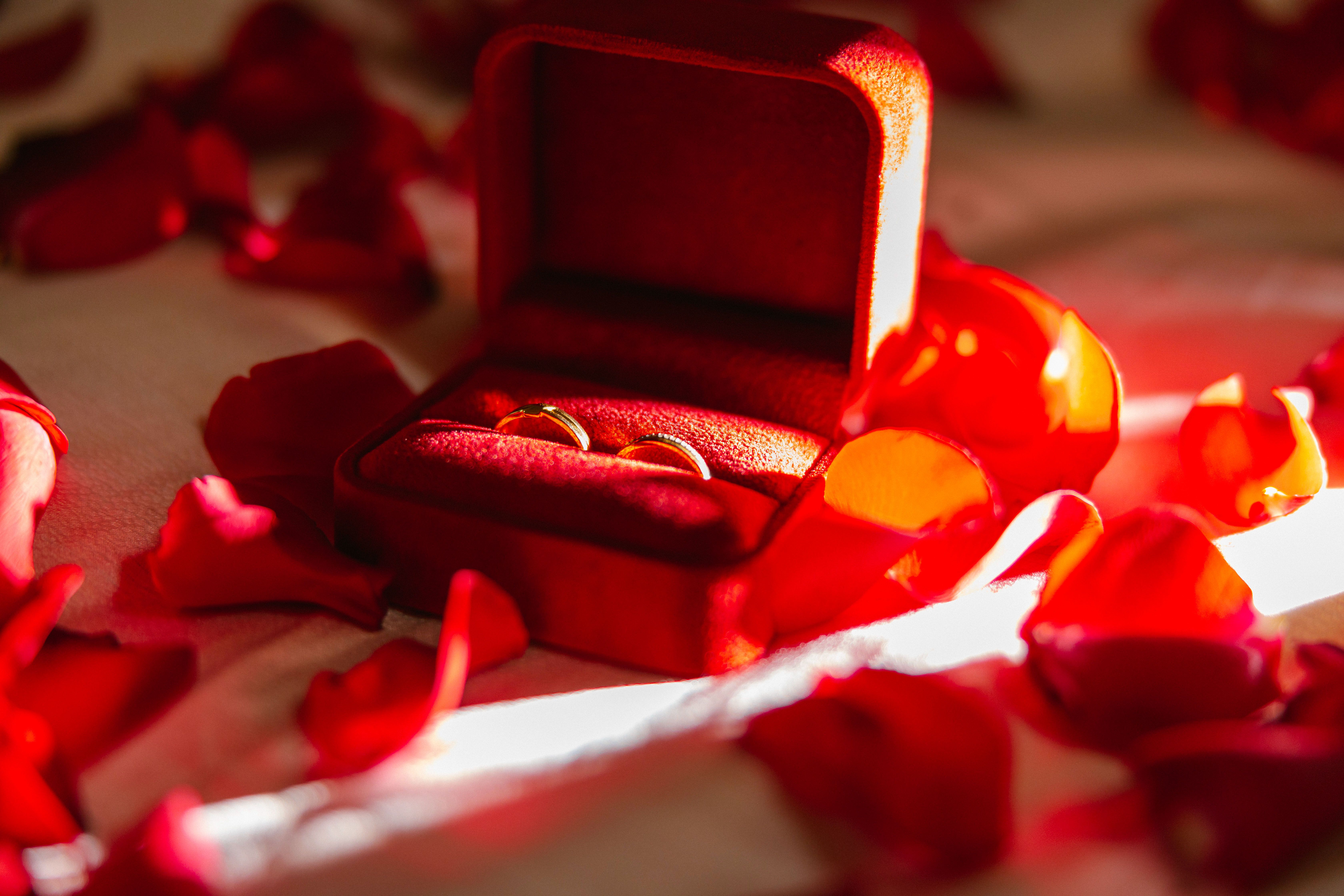 Romantic Wedding Rings in Velvet Box Surrounded by Rose Petals · Free ...
