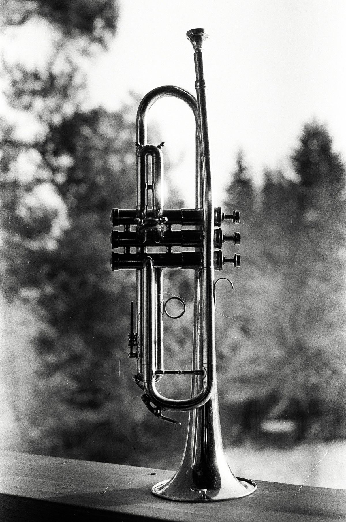 Trumpet Photos, Download The BEST Free Trumpet Stock Photos & HD Images