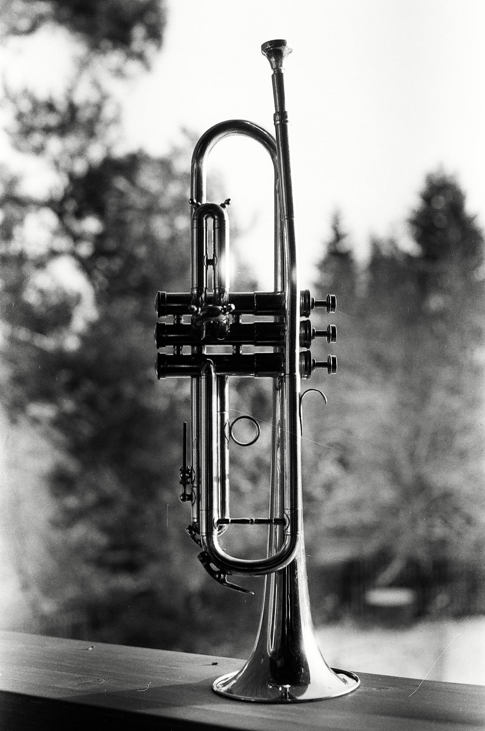 Trumpet Photos, Download The BEST Free Trumpet Stock Photos & HD Images