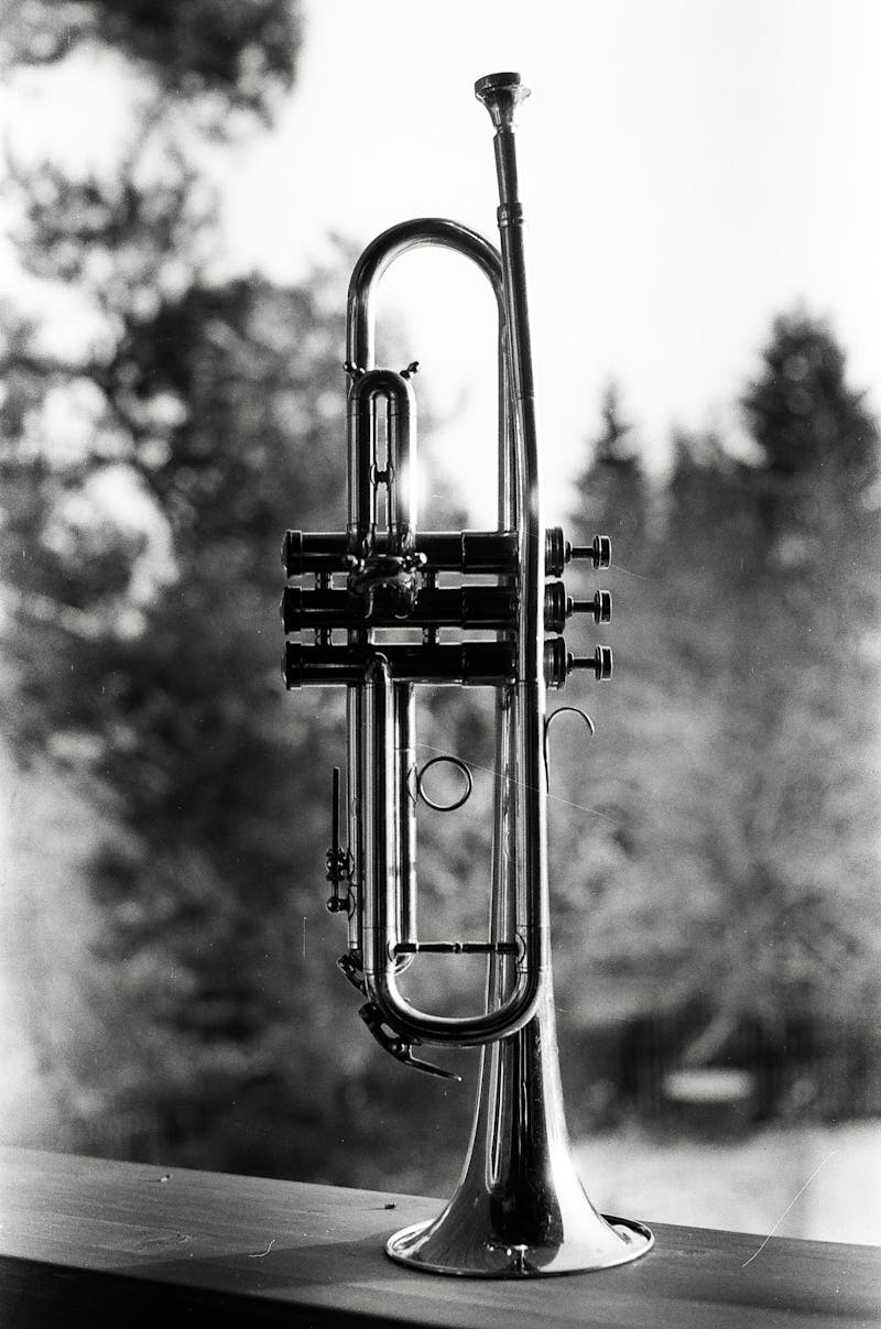 Trumpet Photos, Download The BEST Free Trumpet Stock Photos & HD Images