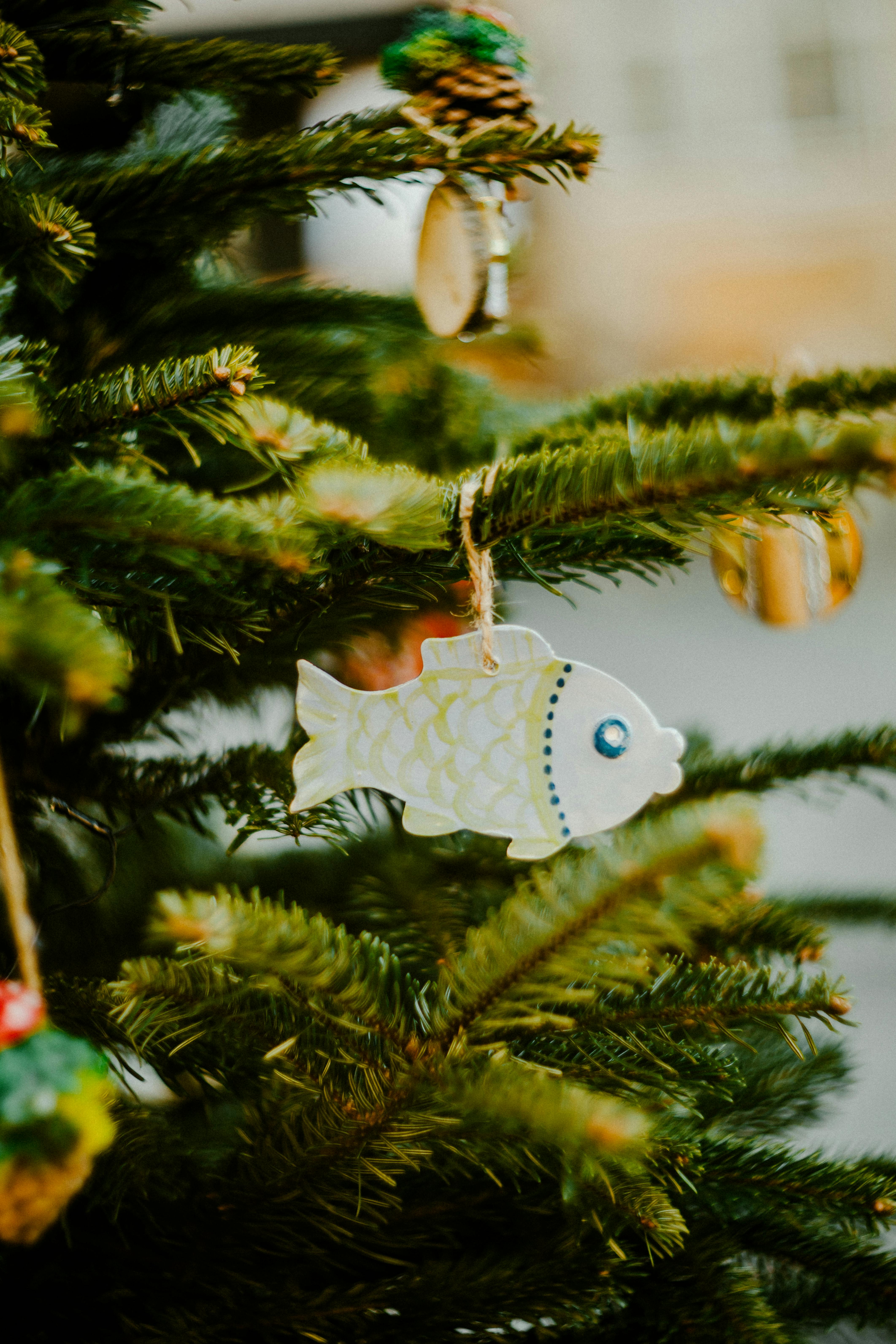 Festive Fish Ornament on Christmas Tree · Free Stock Photo