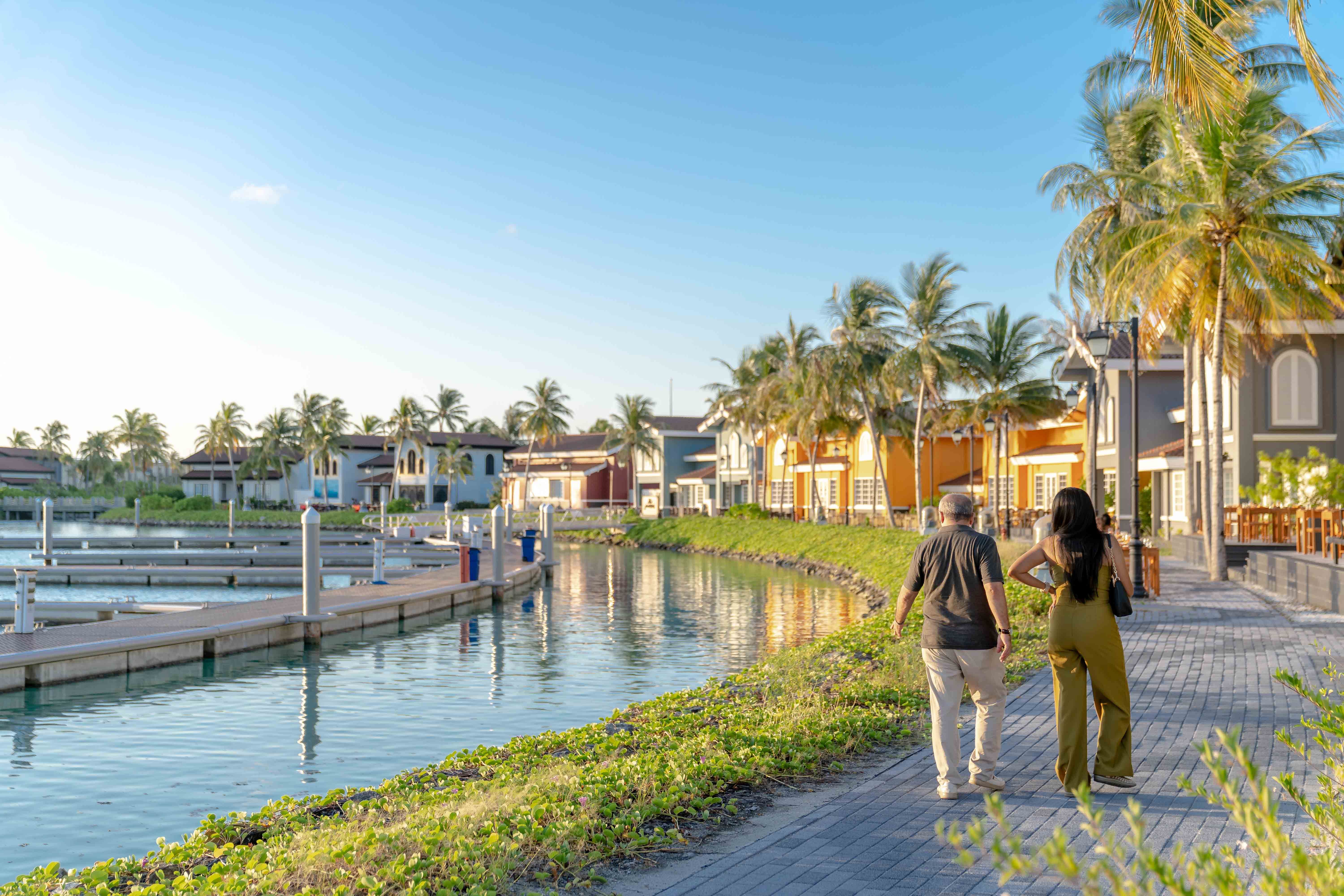 Scenic Tropical Waterfront Stroll on a Sunny Day · Free Stock Photo