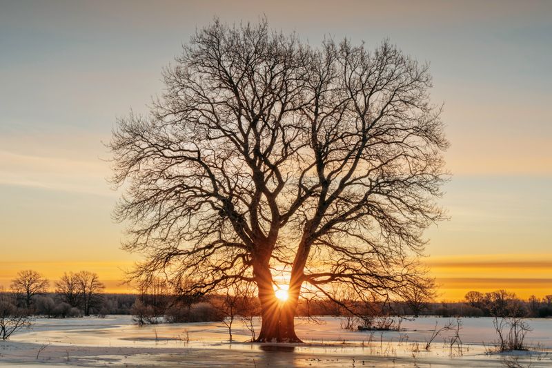 Winter Screensavers Photos, Download The BEST Free Winter Screensavers ...
