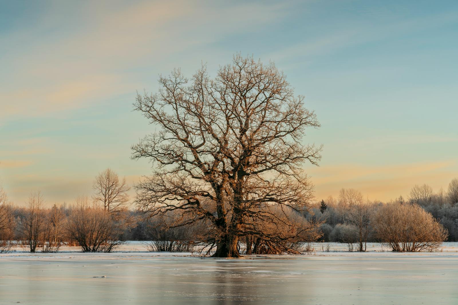 Winter Landscape 4k Photos, Download The BEST Free Winter Landscape 4k ...