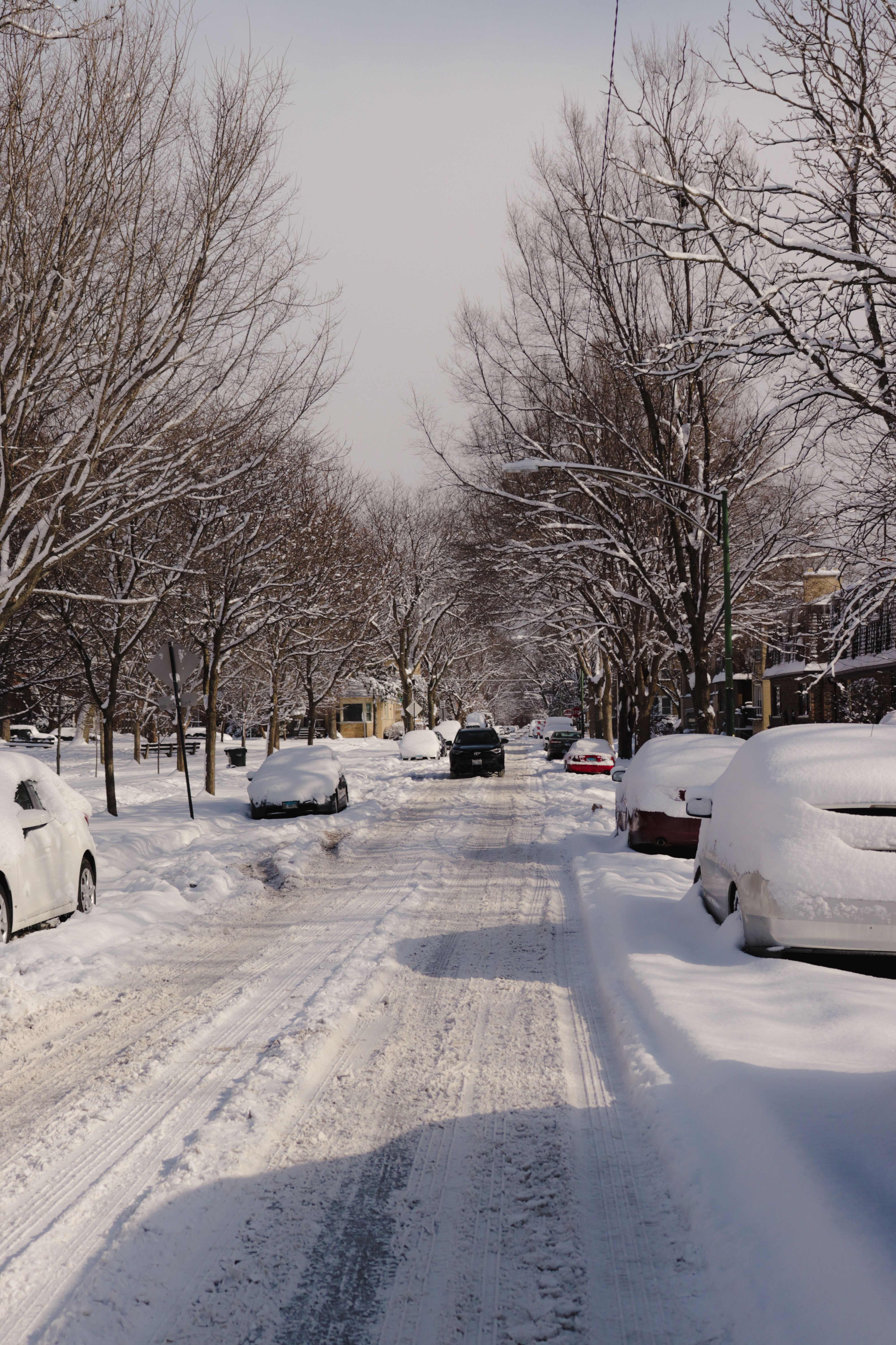 Snow-Covered Street in Chicago Winter Scene · Free Stock Photo
