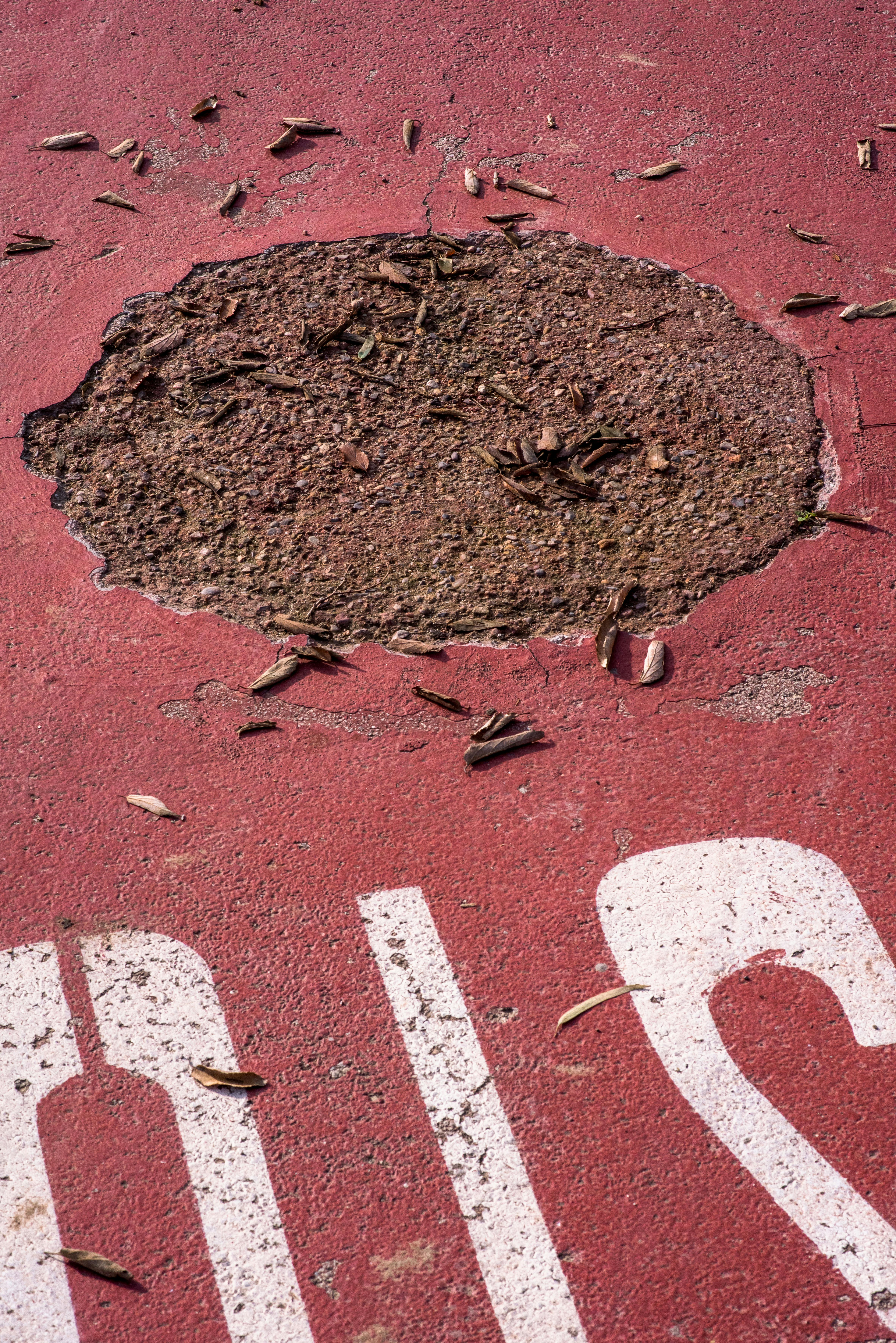 Close-up of Damaged Red Asphalt Road Surface · Free Stock Photo