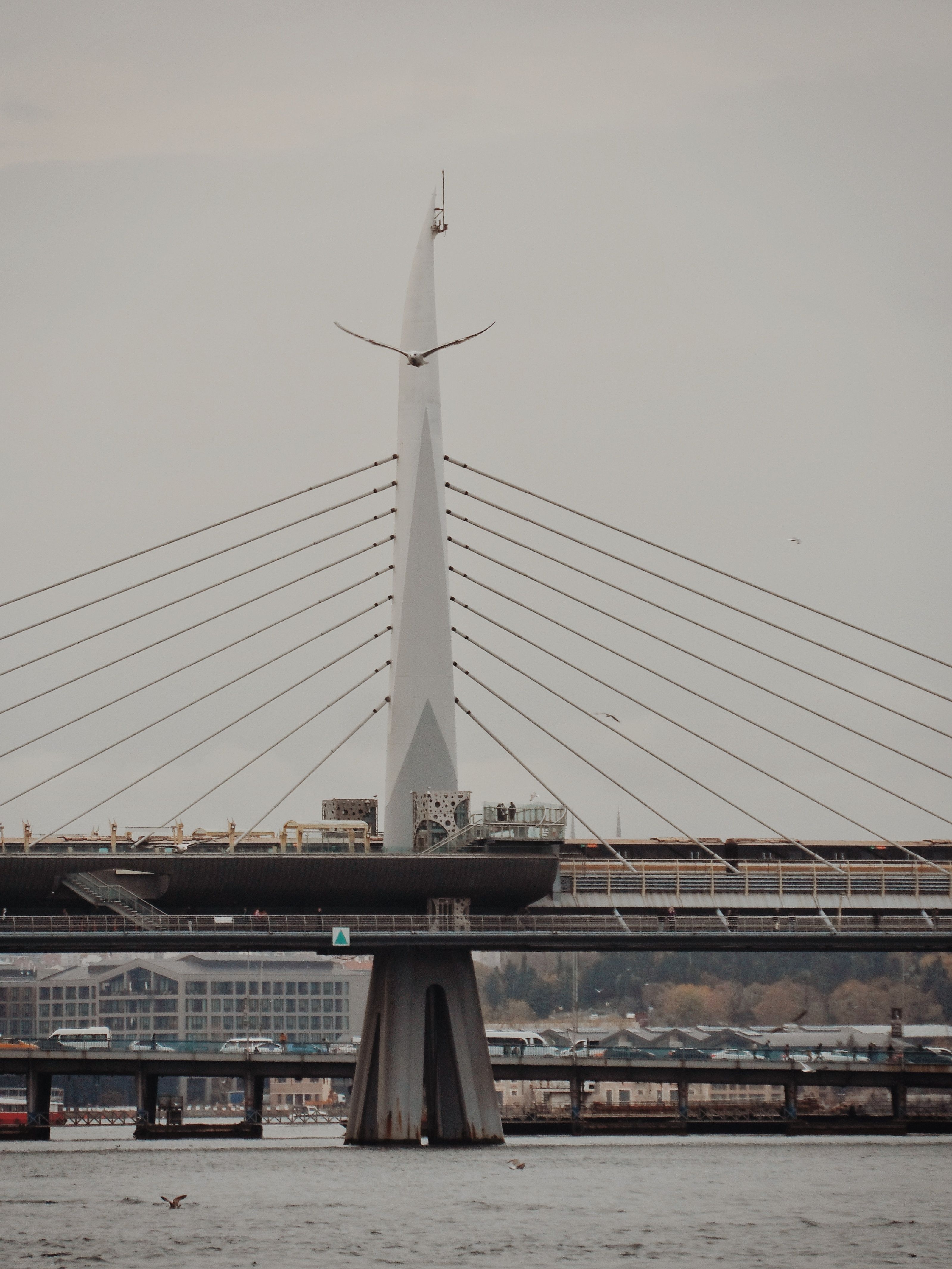 Puente Atirantado Moderno Sobre El Río · Foto de stock gratuita
